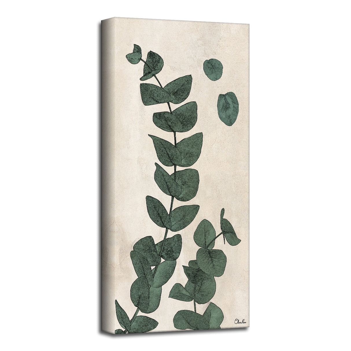 AatoeaX Olivia Rose 'Poetic Flora XXIV' Canvas Botanical Wall Art ...