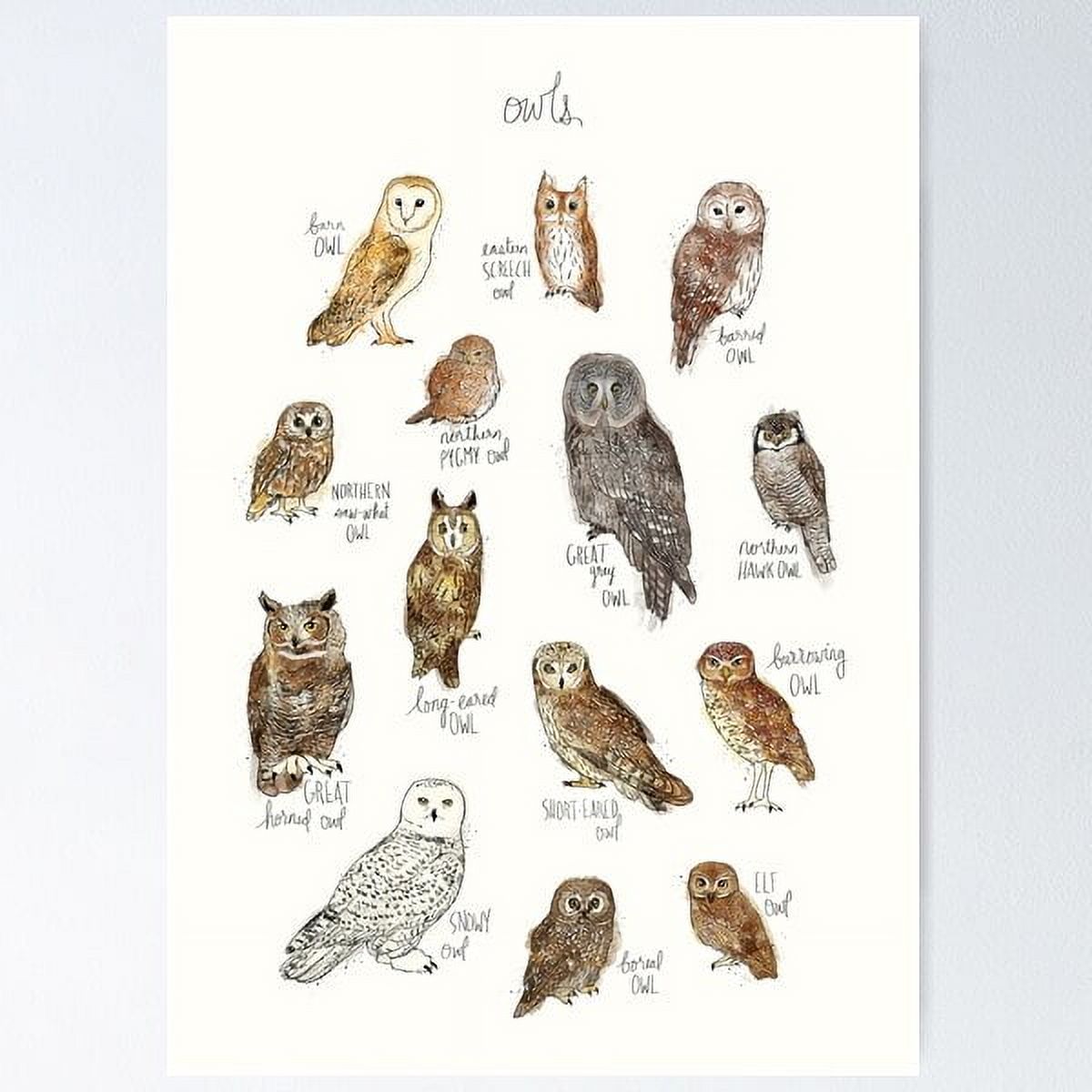 AatoeaX Owls PosterAesthetic Home Decor – Perfect for Gallery Walls or ...