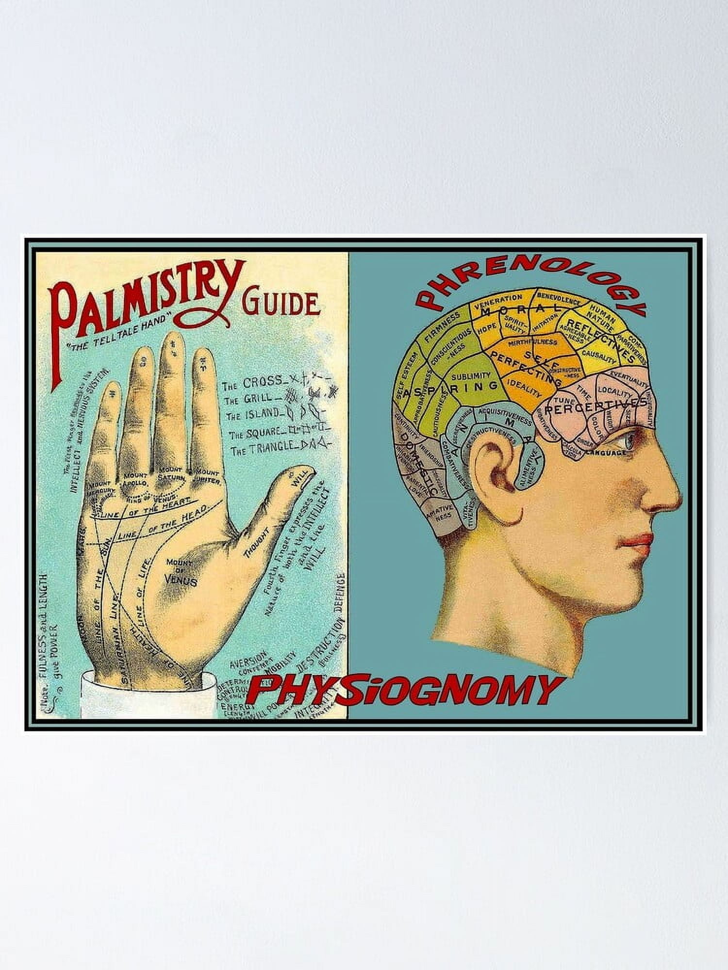 AatoeaX PALMISTRY PHRENOLOGY : Vintage Brain and Palm Reading Print ...