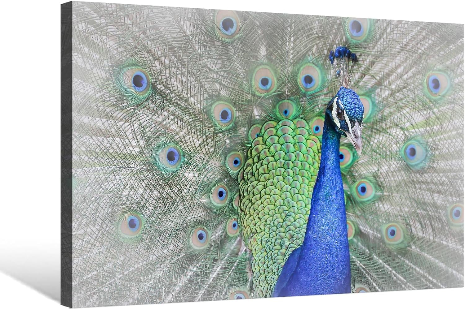 AatoeaX Peacock Canvas Wall Art Peacock Spreading Its Tail Prints ...