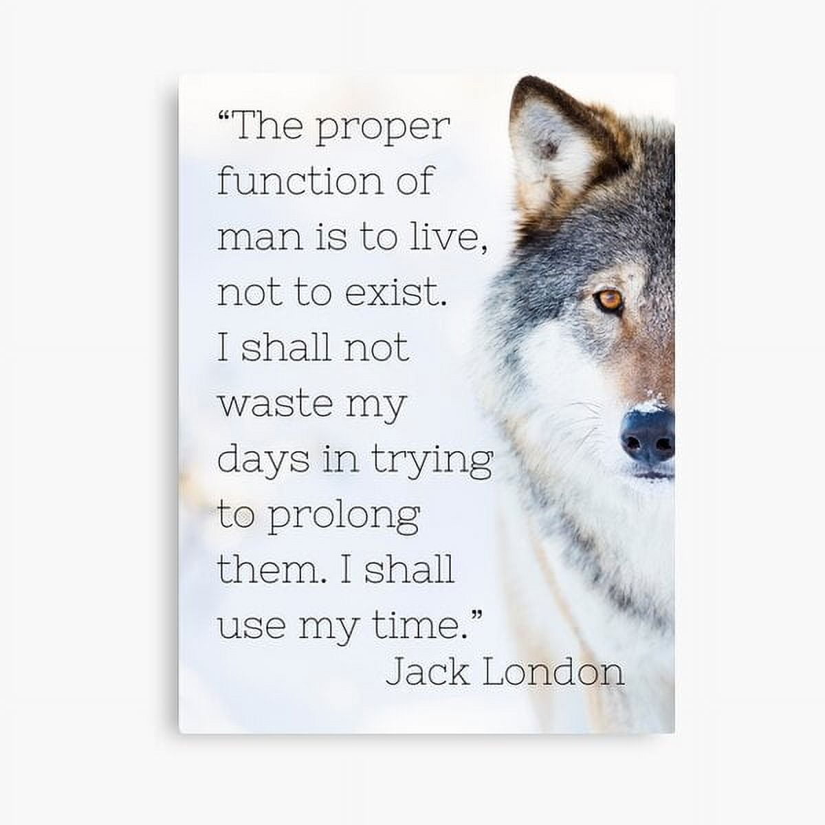 AatoeaX Proper Function of Man | Jack London Quote | White Fang Canvas ...