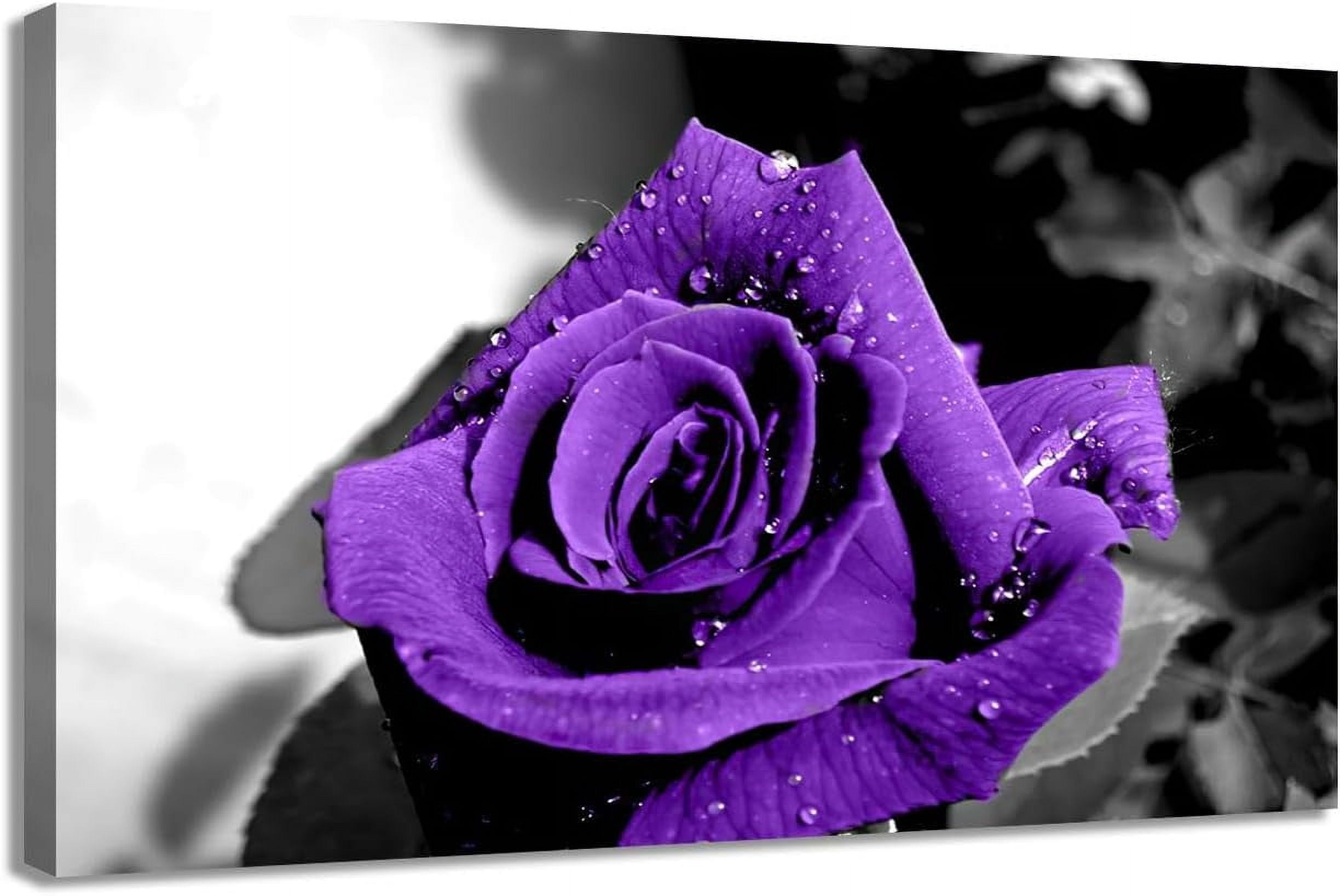 AatoeaX Purple Rose Poster,Black And White With,Canvas Wall Art For ...