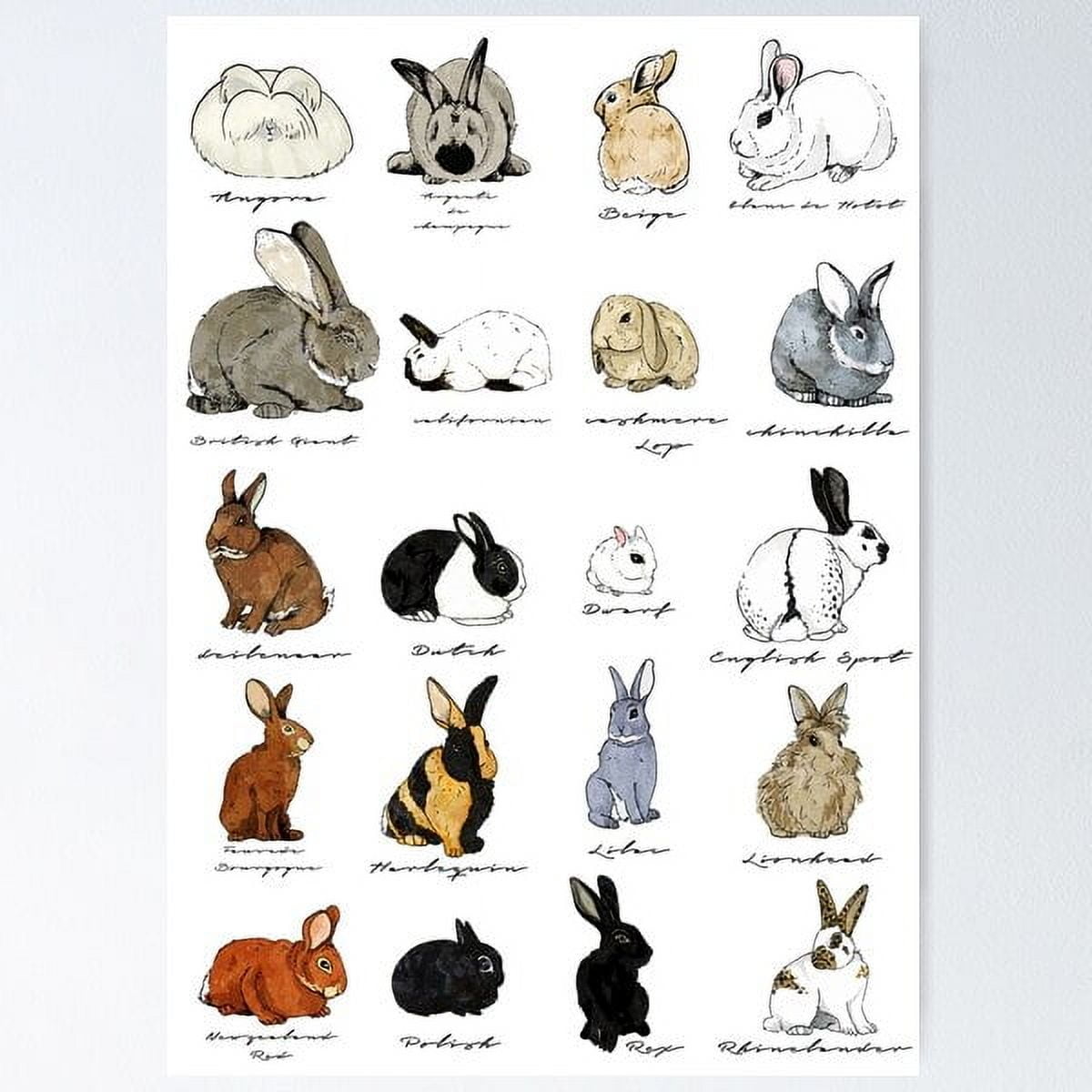 AatoeaX Rabbits Poster Aesthetic Home Decor – Perfect for Gallery Walls ...