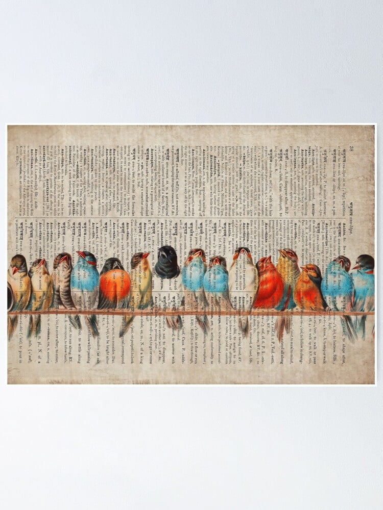 AatoeaX Row of birds on old dictionary page Poster Modern Wall Art ...