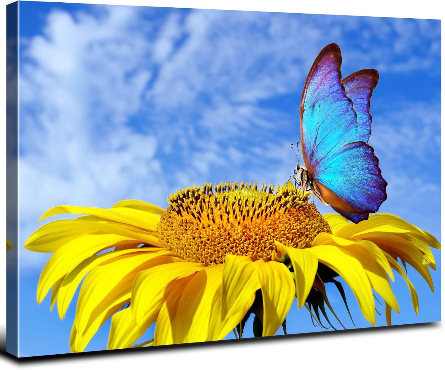 AatoeaX Sunflower Wall Art Bathroom Decor Blue Butterfly Canvas ...