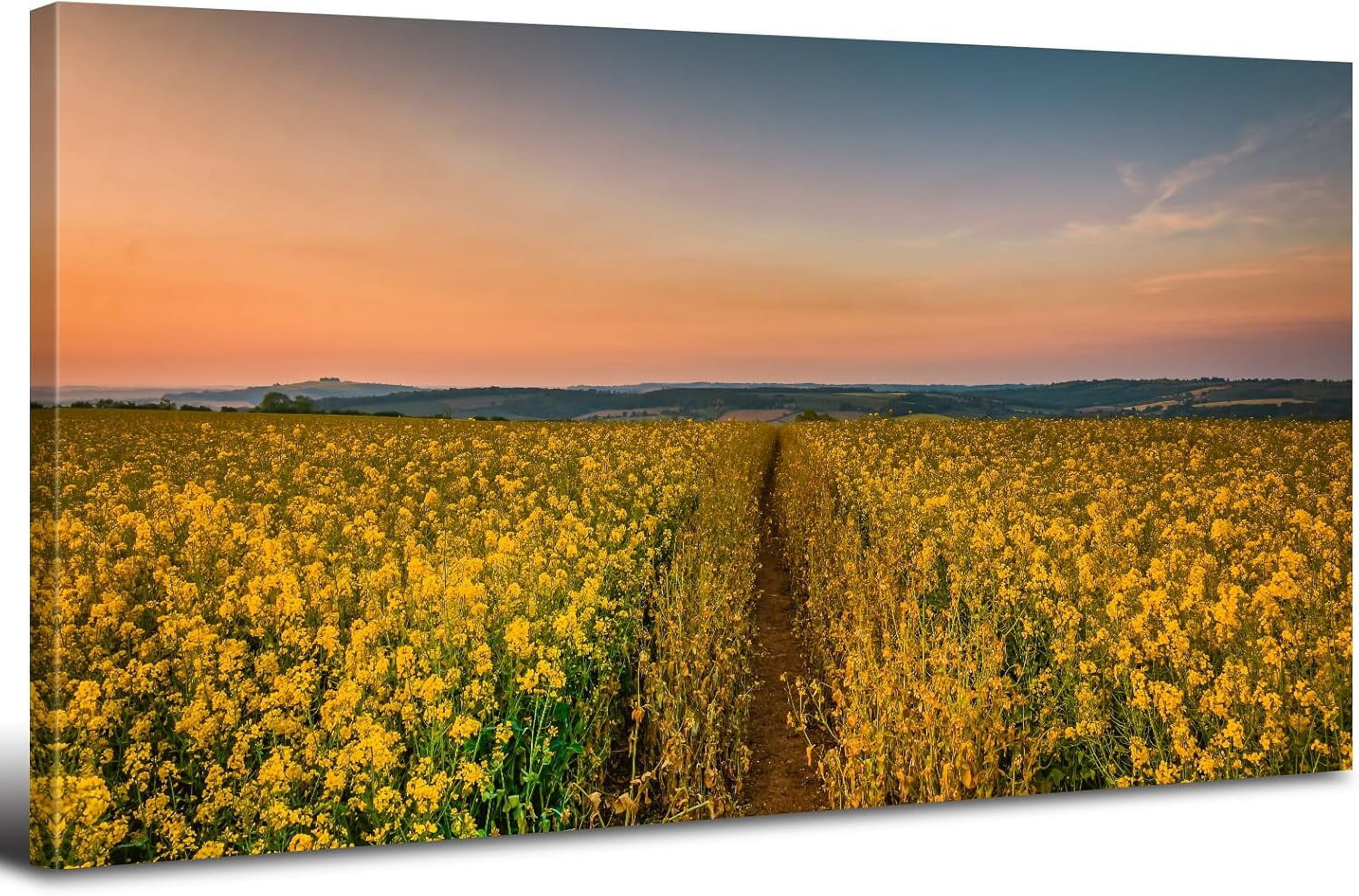 AatoeaX Sunset Daisy Canvas Wall Art Fall Decor Natural Flowers Field ...