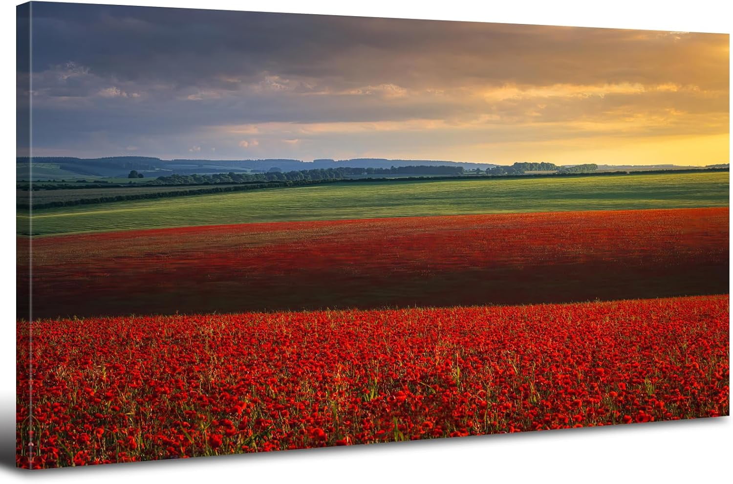 AatoeaX Sunset Red Poppy Canvas Wall Art Nature Floral Panoramic Wall ...