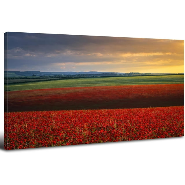 AatoeaX Sunset Red Poppy Canvas Wall Art Nature Floral Panoramic Wall ...