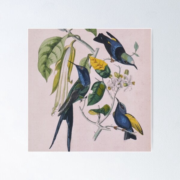 AatoeaX Susumu Yokota - Sakura Poster Aesthetic Home Decor – Perfect ...