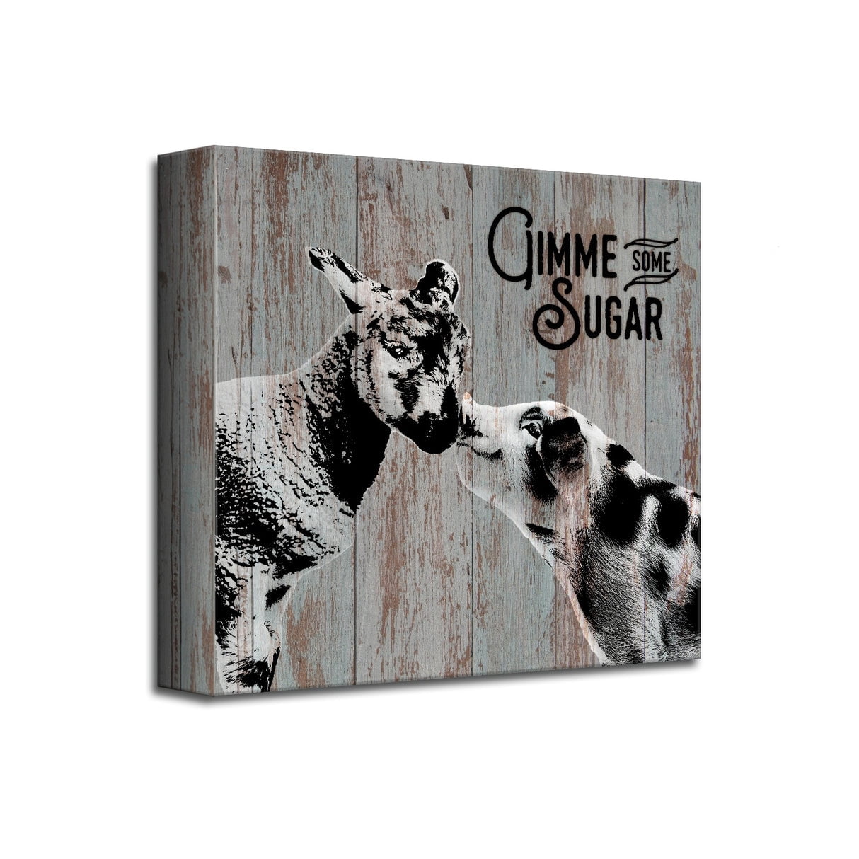 AatoeaX Sweet Sheep & Pig' Farmhouse Wrapped Canvas Animal Wall Art ...