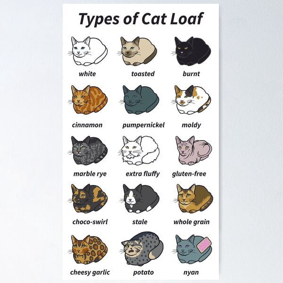 AatoeaX The Types of Cat Loaf PosterAesthetic Home Decor – Perfect for ...