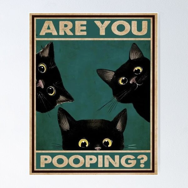 AatoeaX Three Baby Black Cats - Are You Pooping Poster PosterAesthetic ...