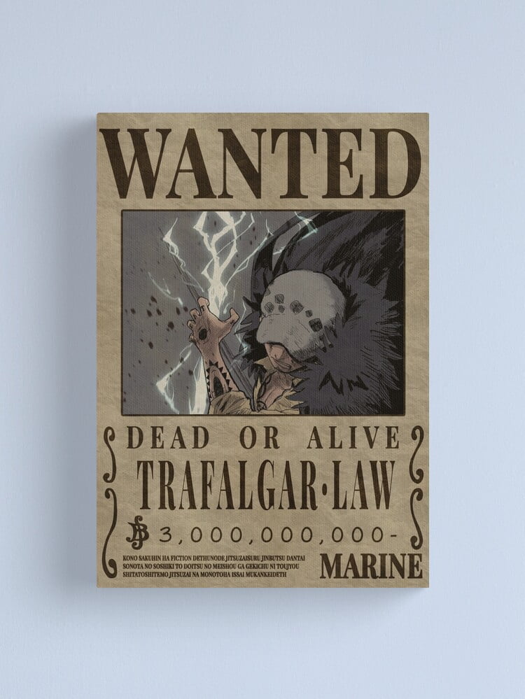 AatoeaX Trafalgar D Water Law Poster Bounty One Piece Wanted Canvas ...