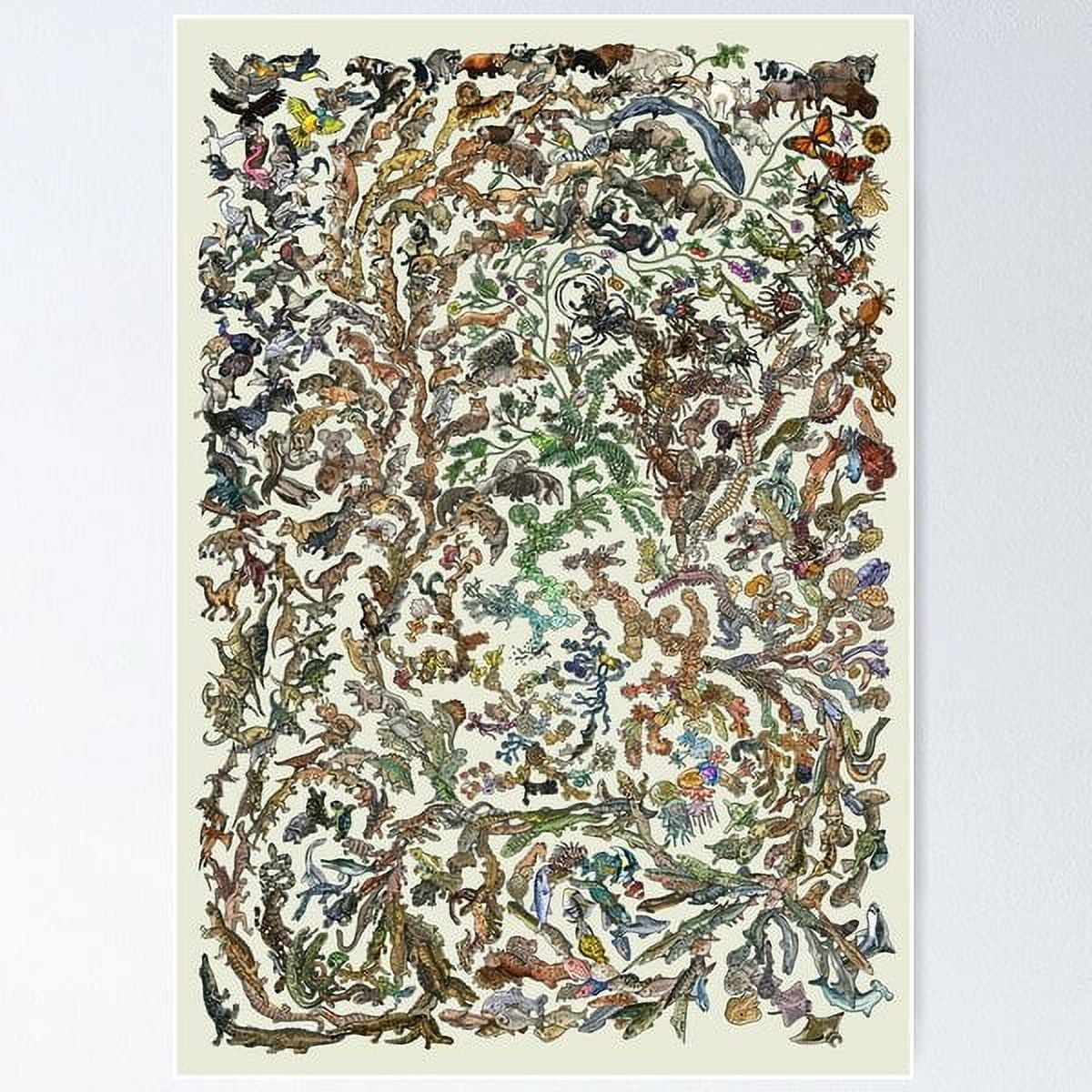 AatoeaX Tree of Life Poster - Animal Evolution - Colour (New Design ...