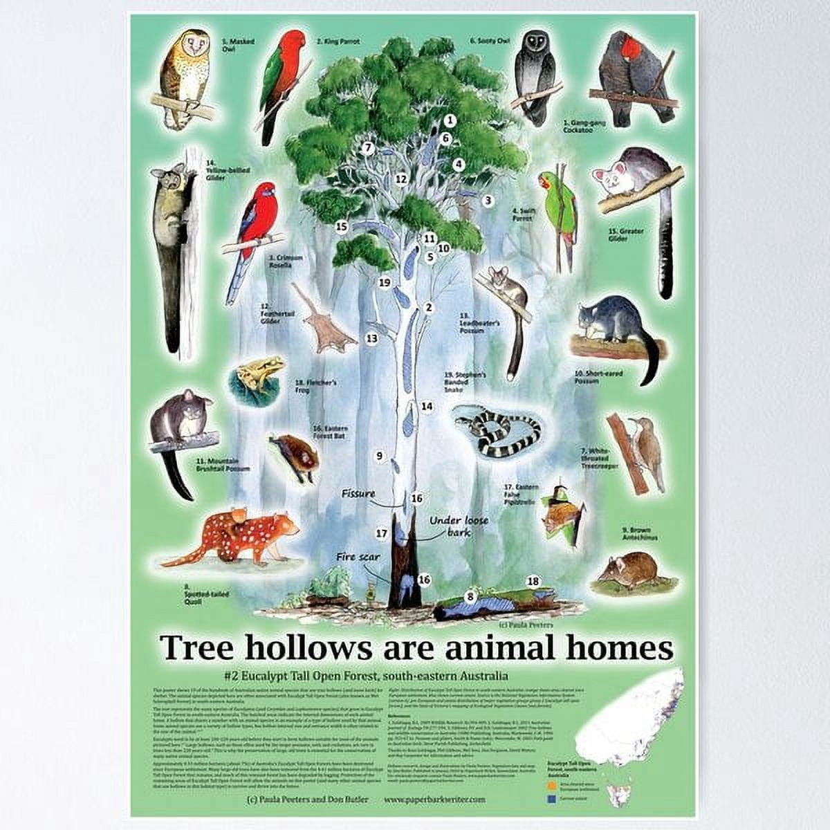 AatoeaX Tree hollows are animal homes #2 (detailed poster design ...
