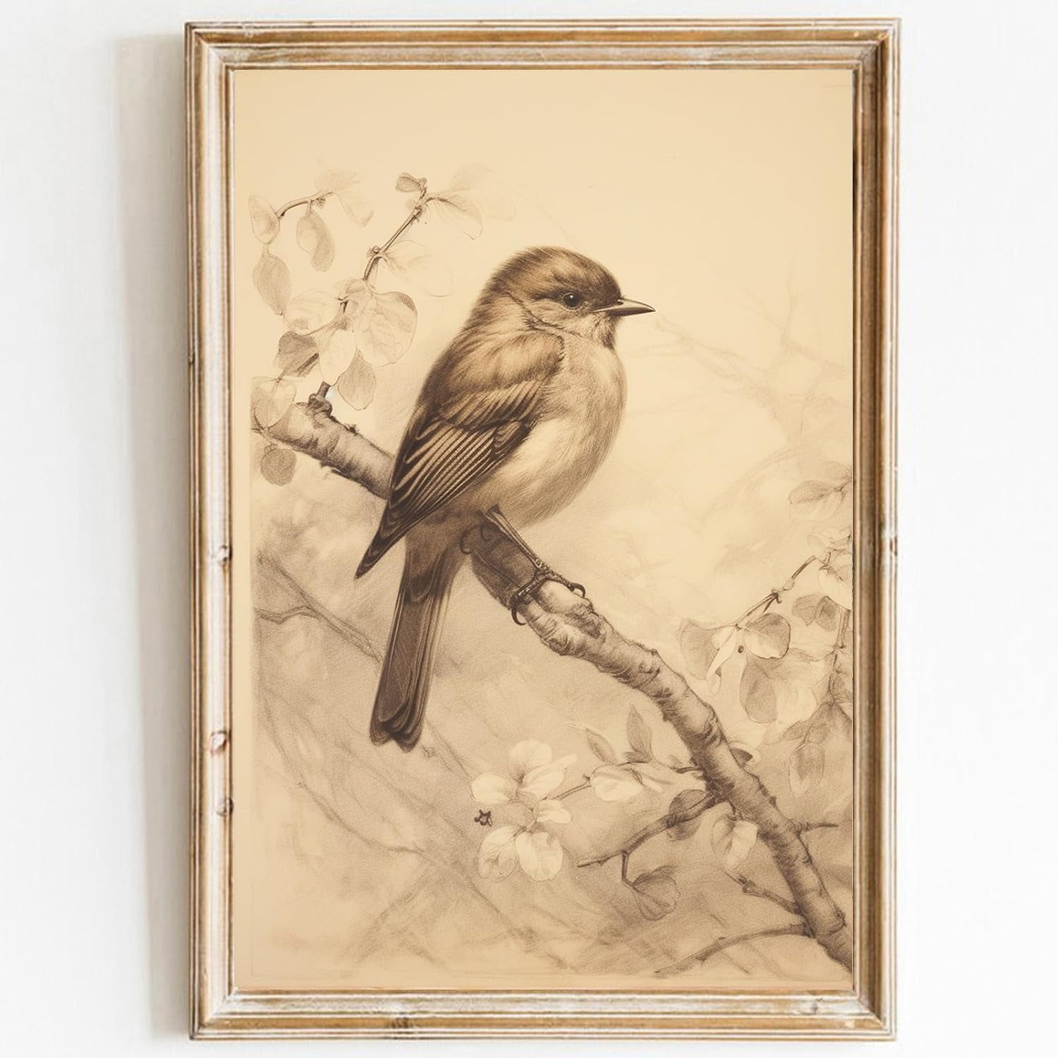 AatoeaX Vintage Bird Wall Art Canvas Sparrow Bird Poster Abstract Bird ...