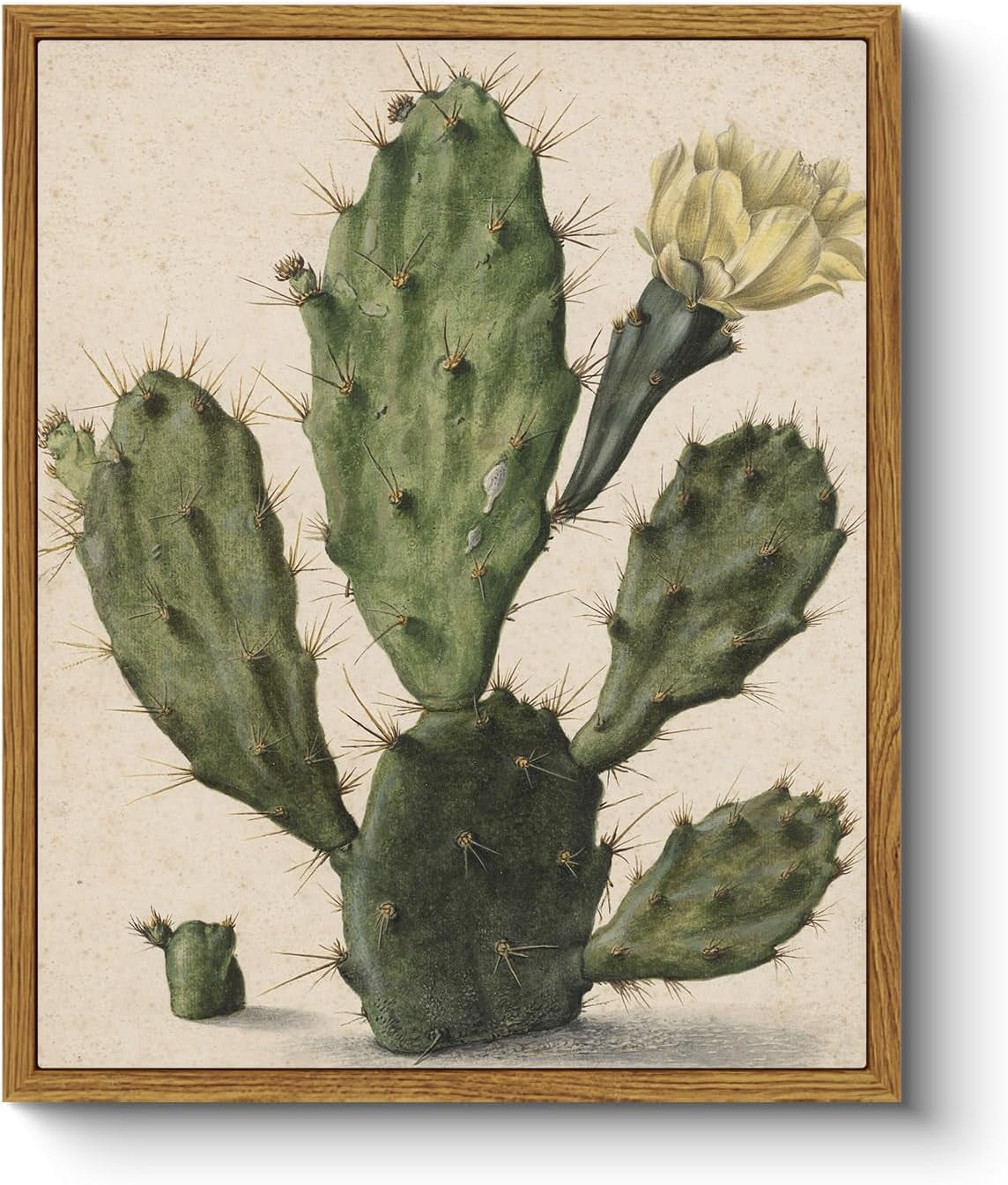 AatoeaX Vintage Cactus Wall Art, Botanical Floral Home Farmhouse ...