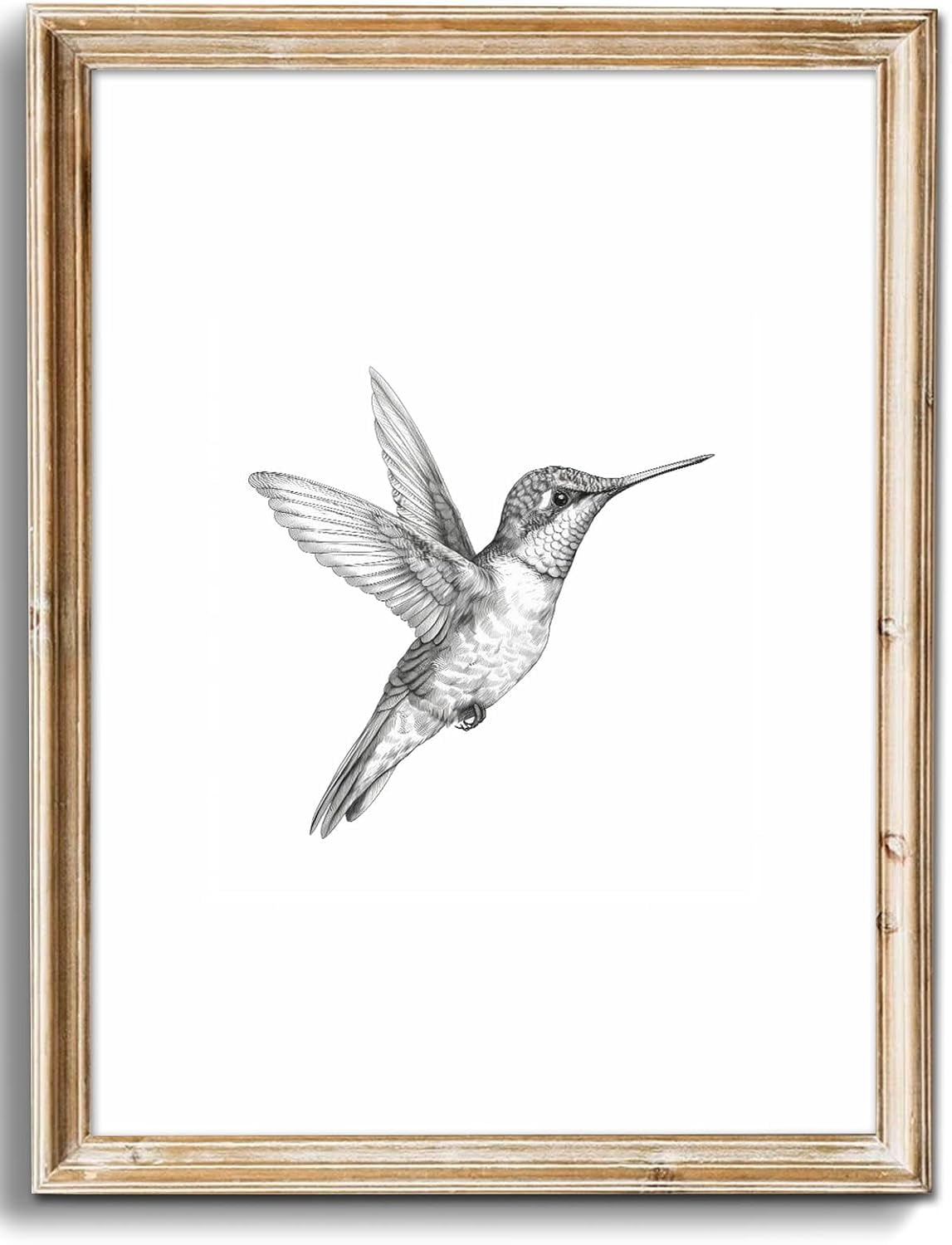 AatoeaX Vintage Wall Art Prints Farmhouse Decor Hummingbird Sketch ...