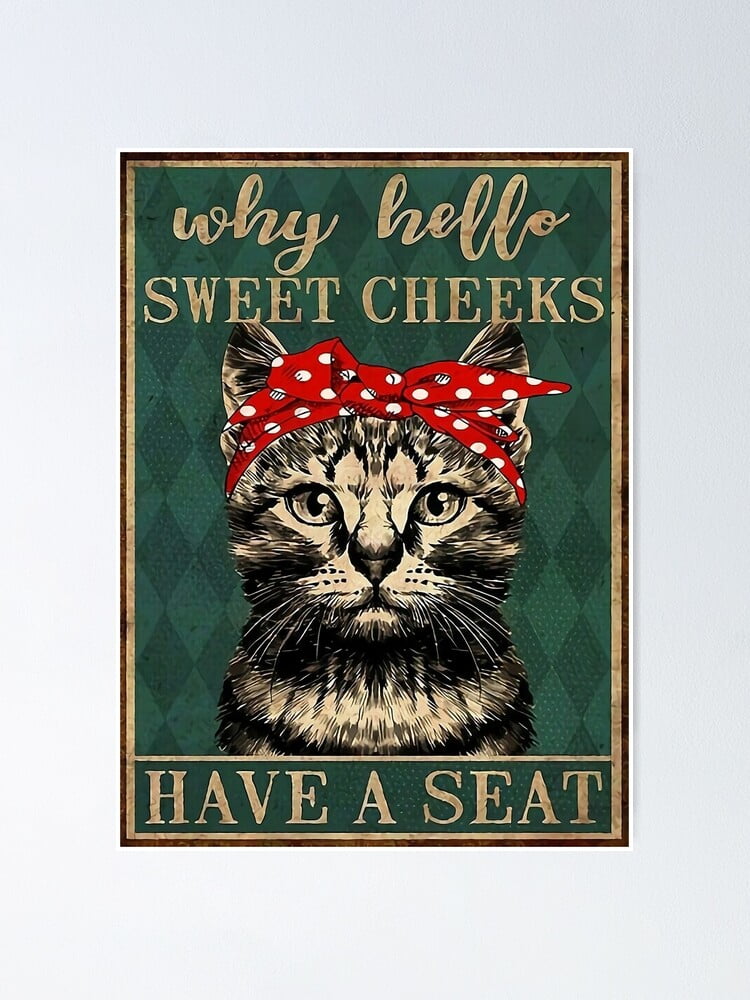 AatoeaX Why Hello Sweet Cheeks Poster Aesthetic Home Decor – Perfect ...