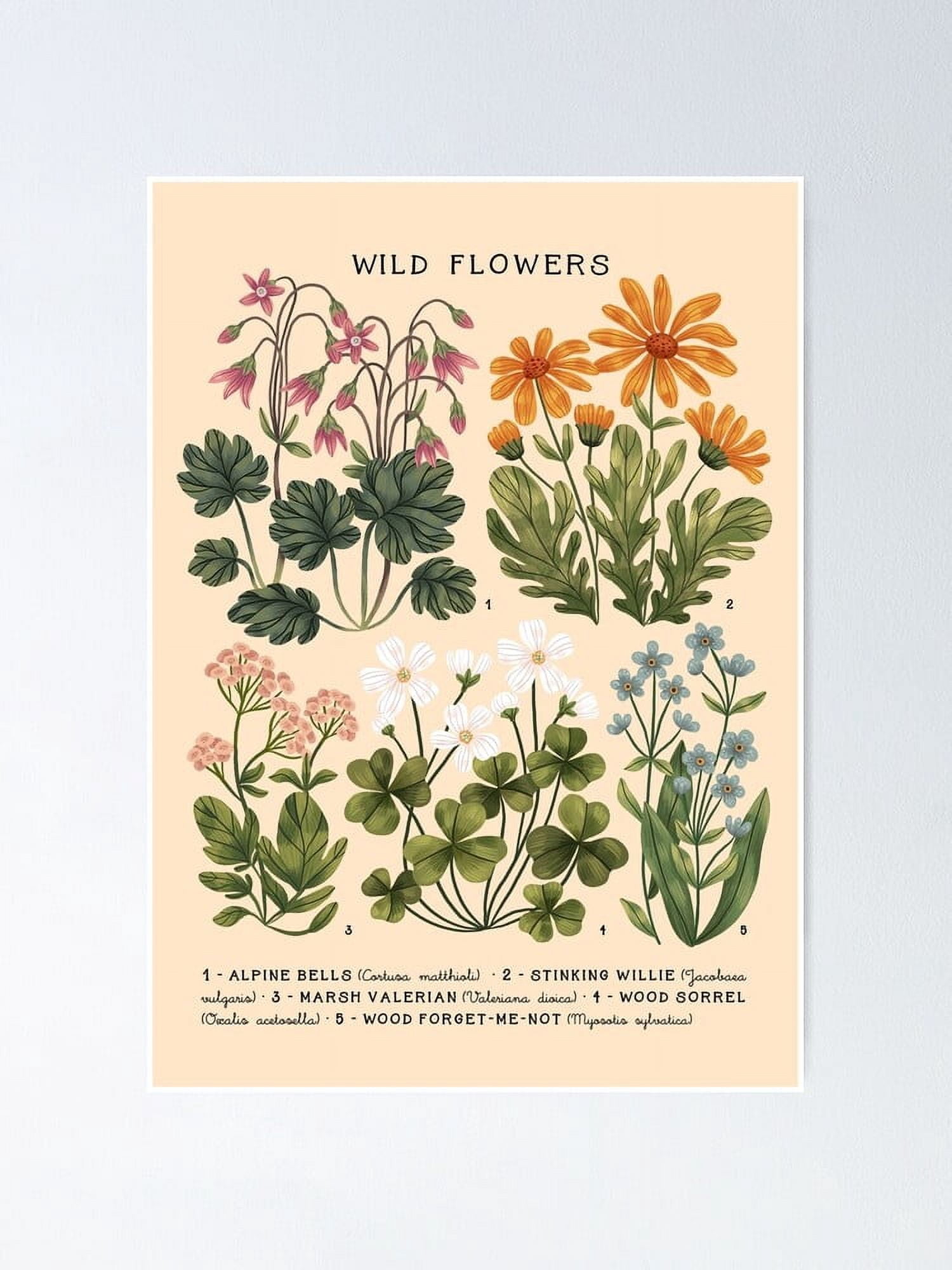 AatoeaX Wild Flowers vol.4 Bright Poster Modern Wall Art Canvas Poster ...