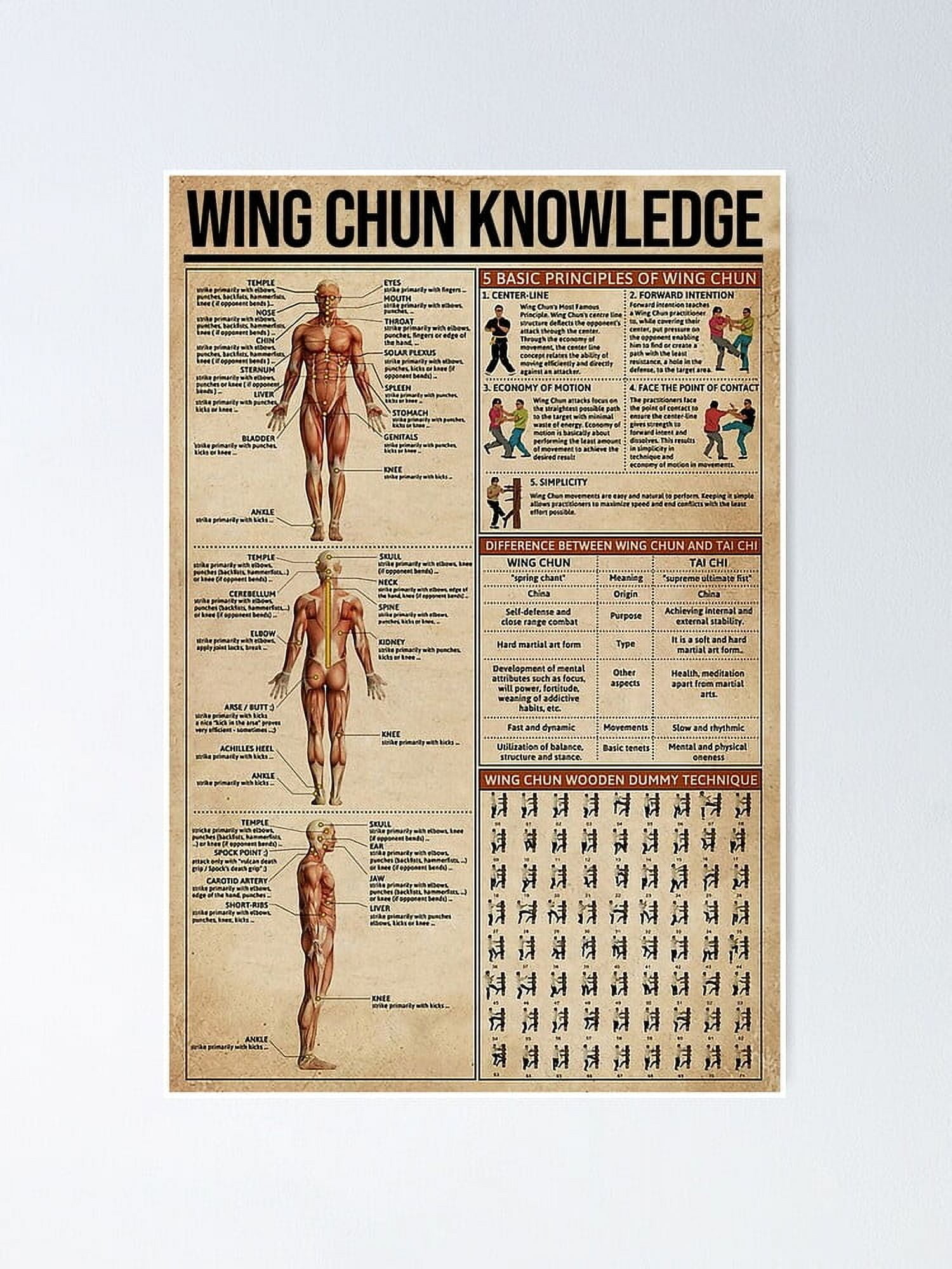 AatoeaX Wing Chun Knowledge: Principles, Techniques, and Training ...