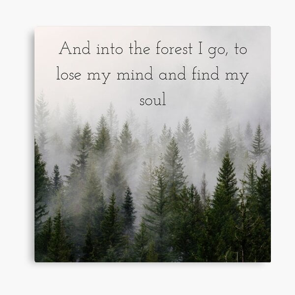 AatoeaX And into the forest I go, to lose my mind and find my soul ...