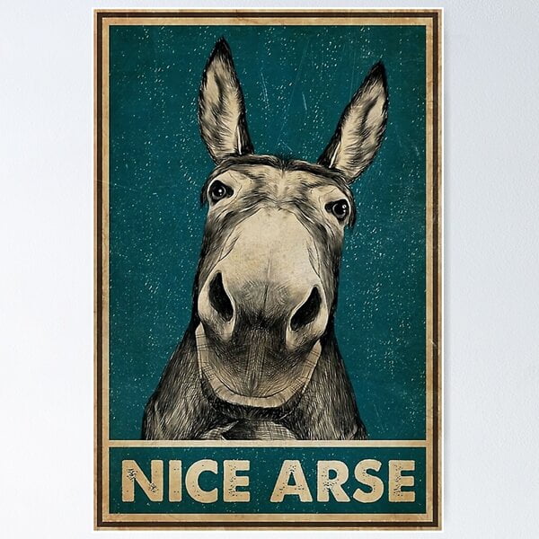 AatoeaX nice arse donkey poster Poster Aesthetic Home Decor – Perfect for Gallery Walls or Gifts ...