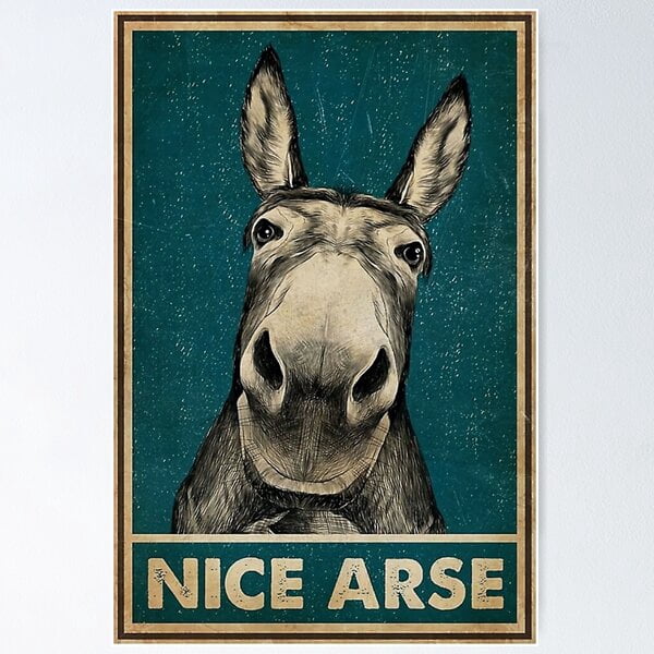 AatoeaX nice arse donkey poster Poster Aesthetic Home Decor – Perfect ...
