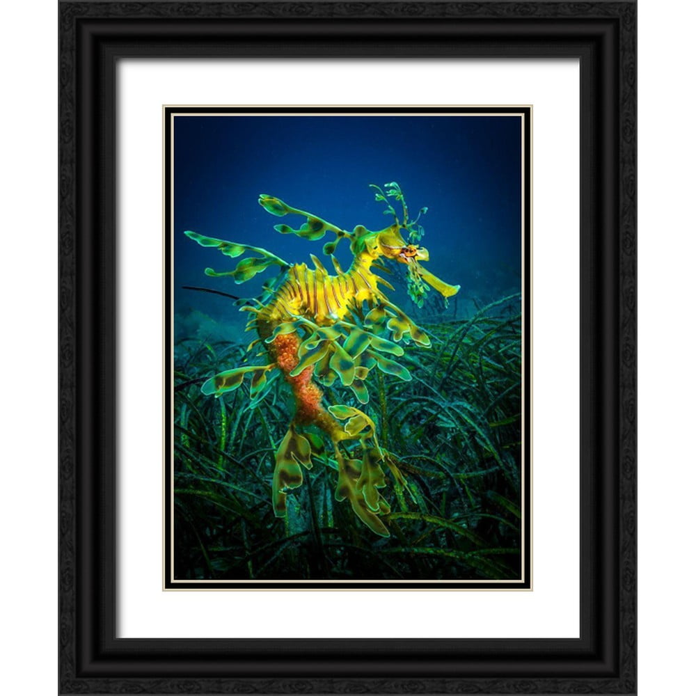 Abadschieff, Jan 15x18 Black Ornate Wood Framed with Double Matting ...