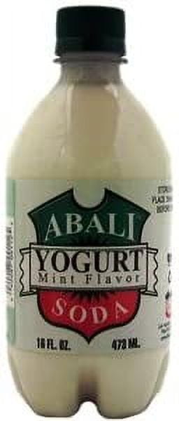 Abali Yogurt Soda - Mint 16 fl. oz. EACH - Walmart.com