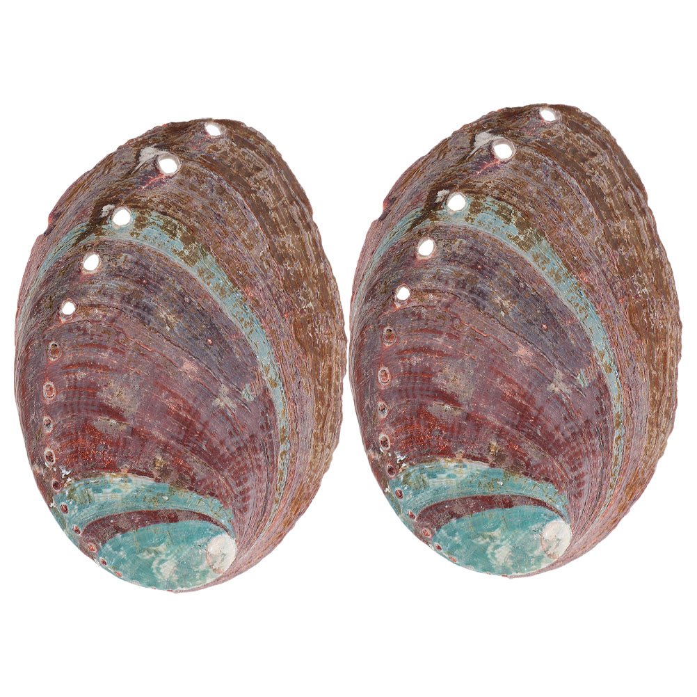 Abalone Shell 2 Pcs Product Burning Container Ashtray Fish Tank Decor ...