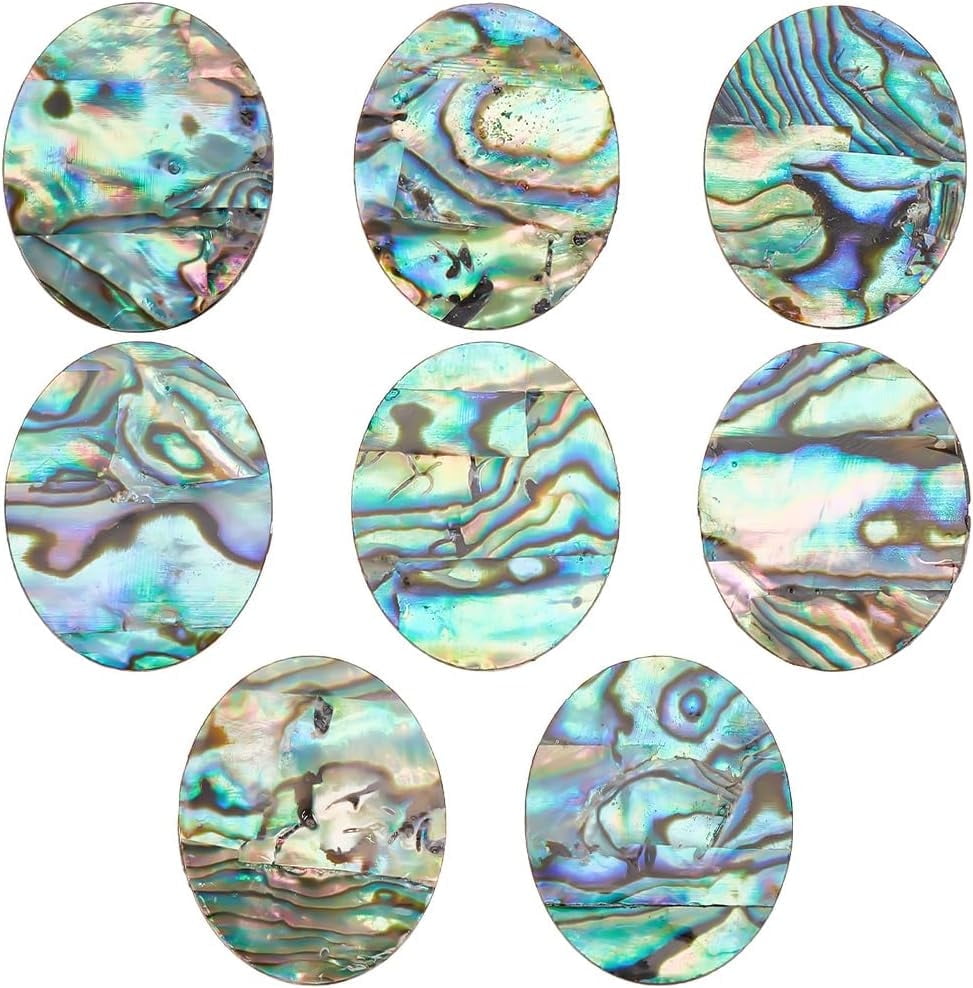 Polished Abalone Shell