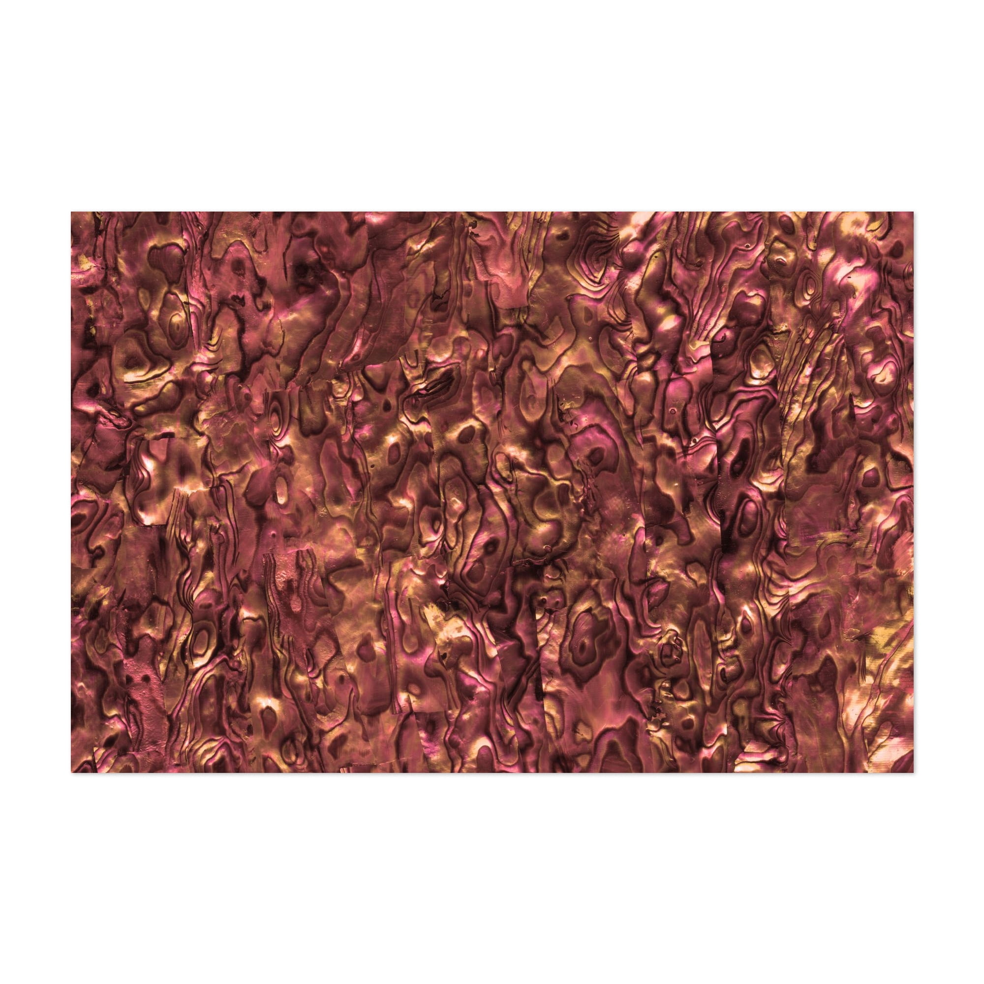 Abalone Shell | Paua Shell | Sea Shells | Patterns in Nature | Copper ...