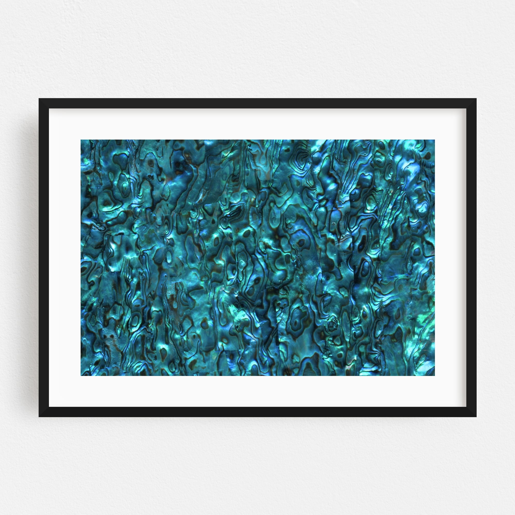 Abalone Shell | Paua Shell | Sea Shells | Patterns in Nature ...