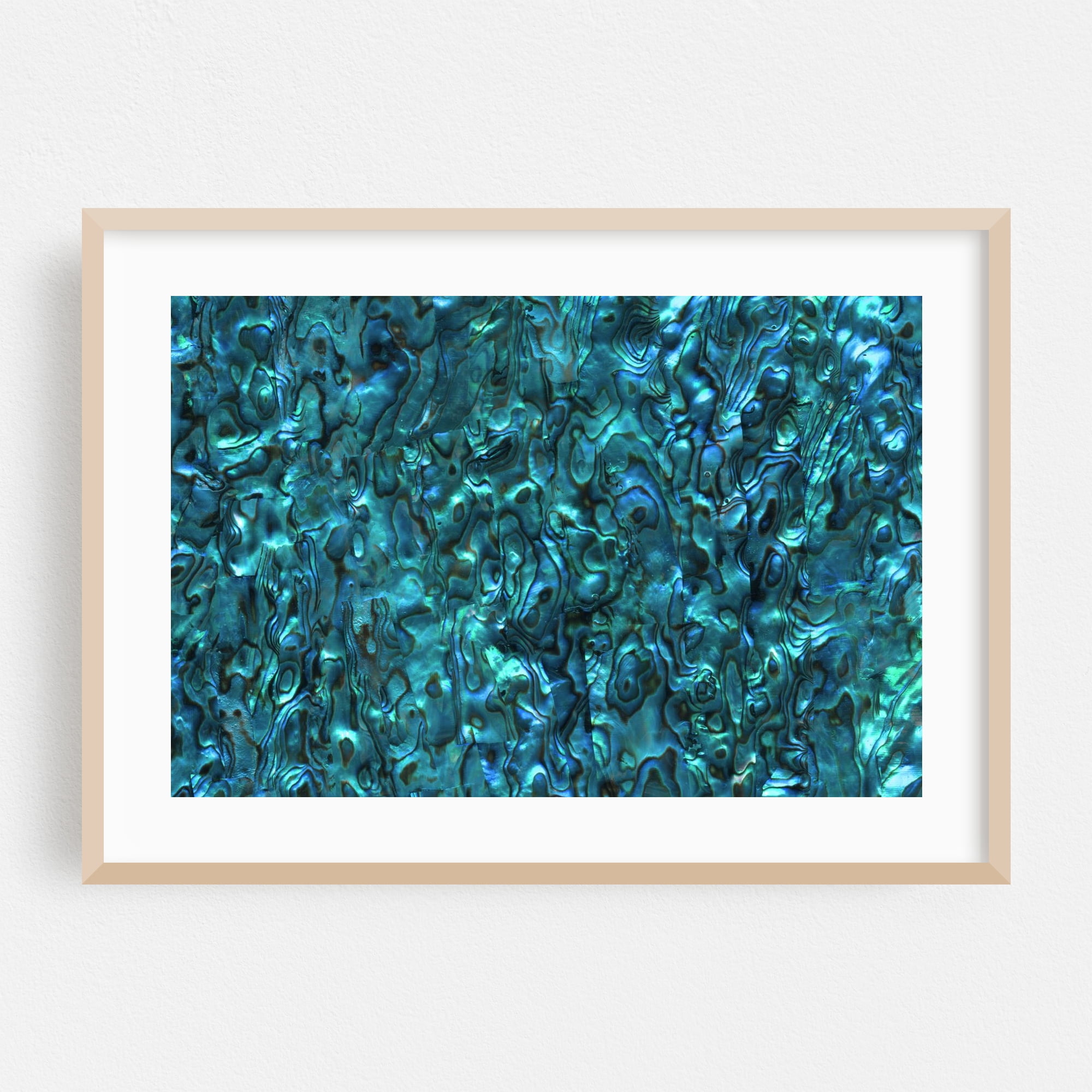 Abalone Shell | Paua Shell | Sea Shells | Patterns in Nature ...