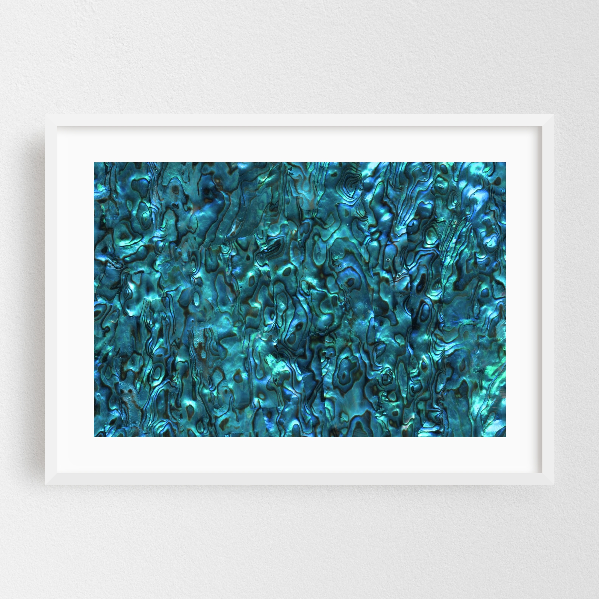 Abalone Shell | Paua Shell | Sea Shells | Patterns in Nature | Turquoise Blue Tint - Photography ...