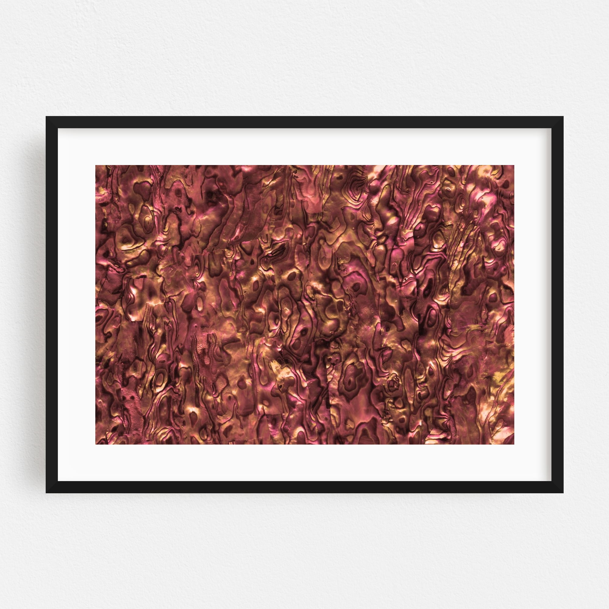 Abalone Shell | Paua Shell | Sea Shells | Patterns in Nature | Copper ...