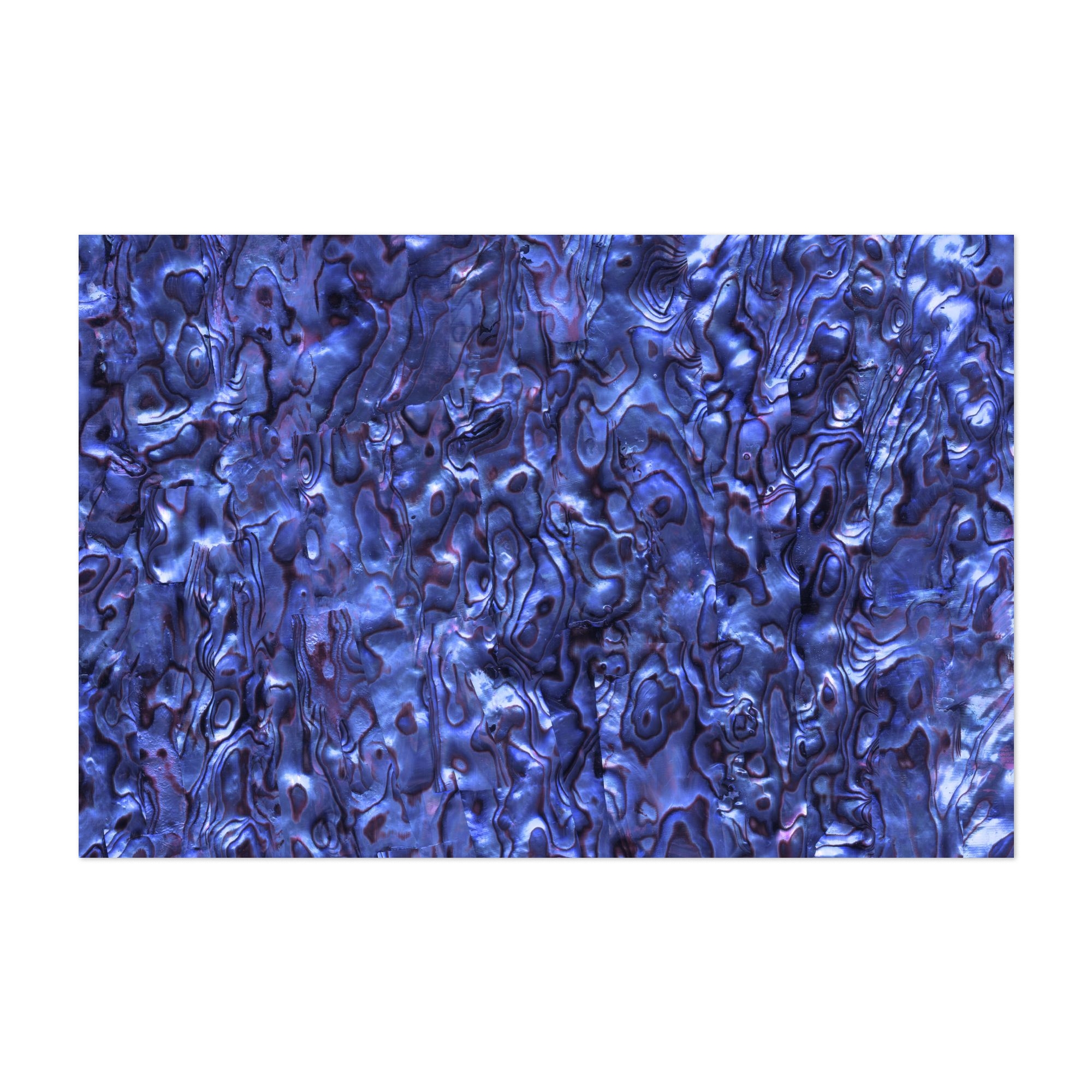 Abalone Shell | Paua Shell | Sea Shells | Patterns in Nature | Dark ...