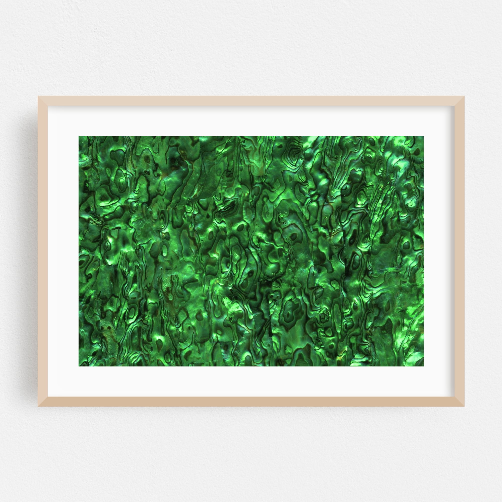 Abalone Shell | Paua Shell | Sea Shells | Patterns in Nature | Green ...