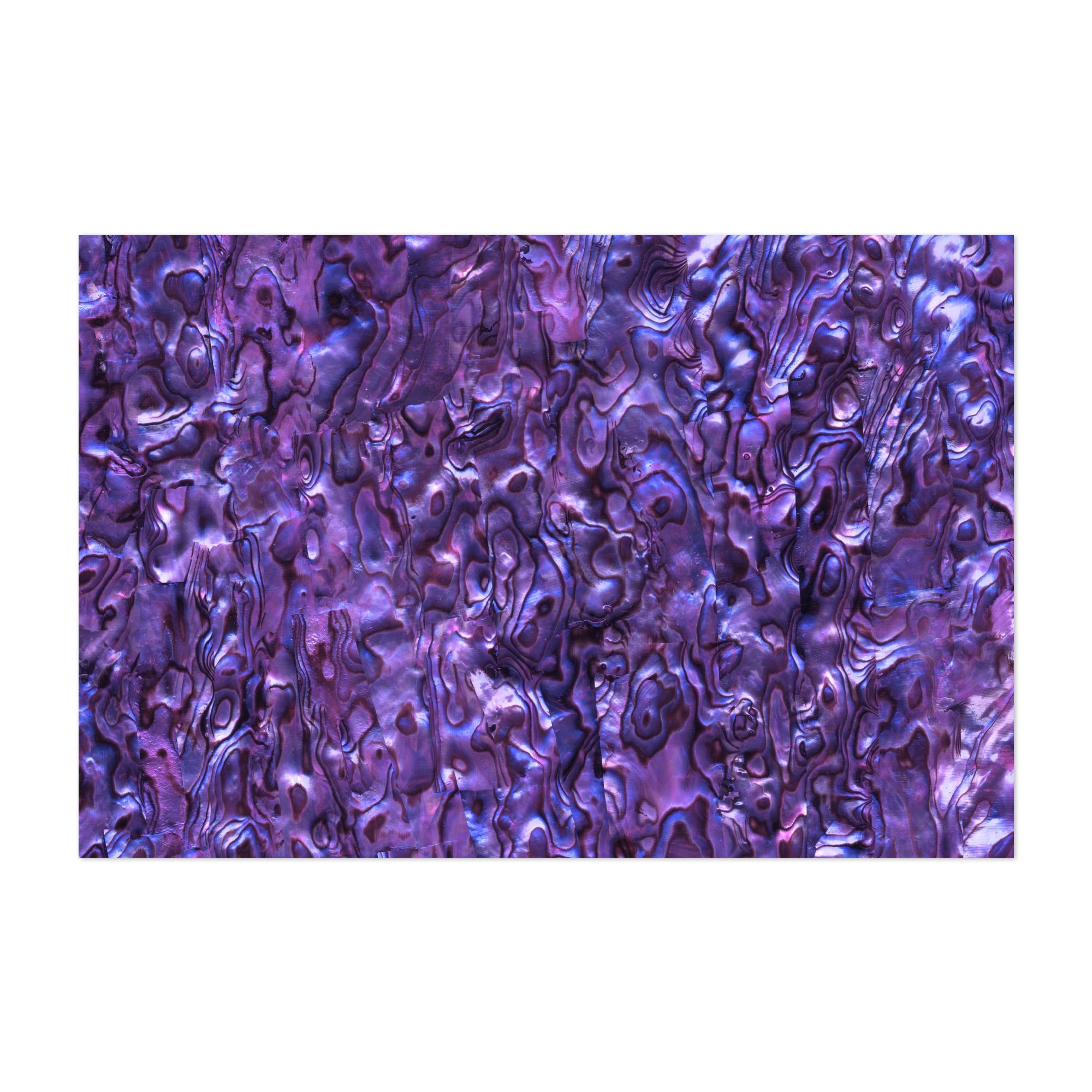 Abalone Shell | Paua Shell | Sea Shells | Patterns in Nature | Magenta ...