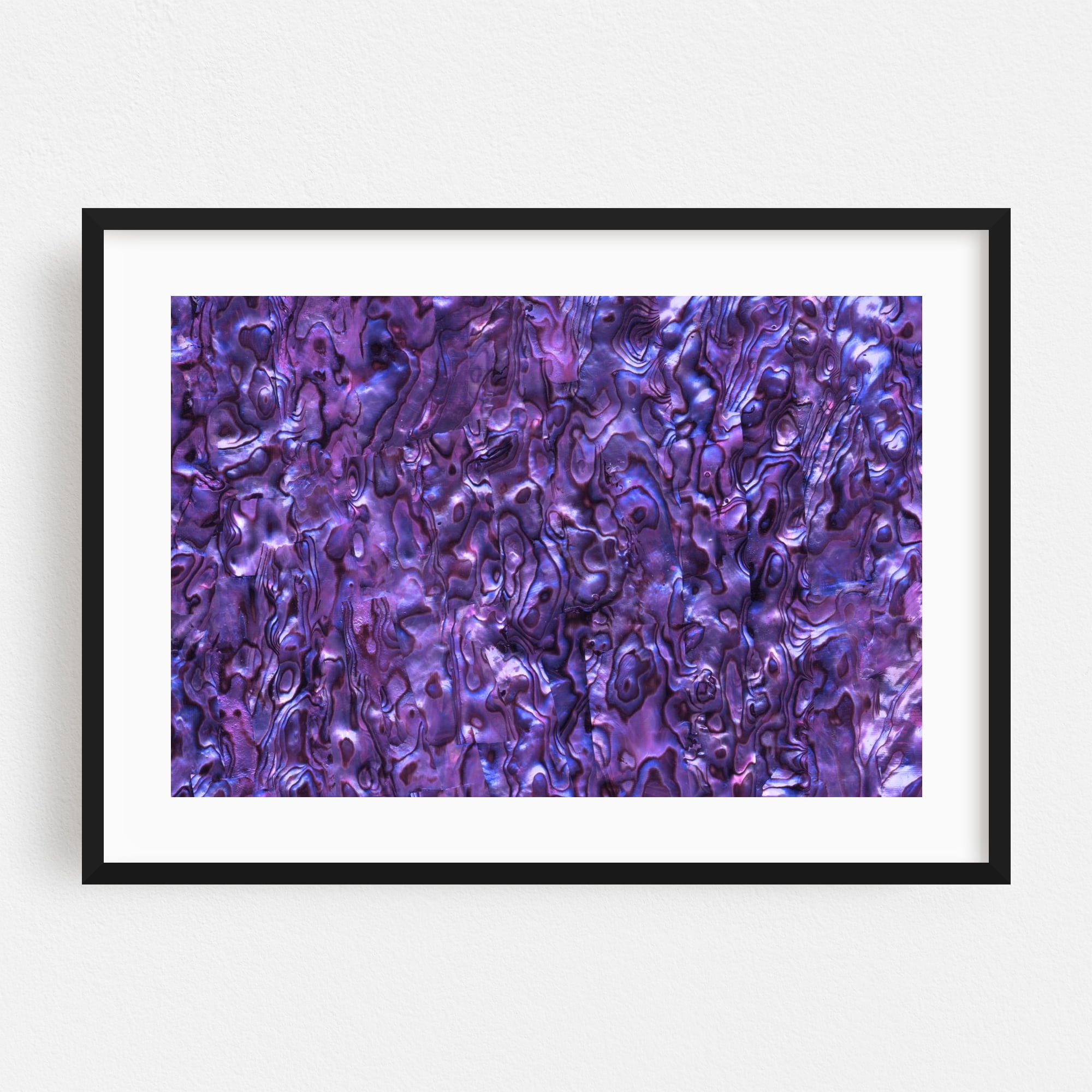 Abalone Shell | Paua Shell | Sea Shells | Patterns in Nature | Magenta ...