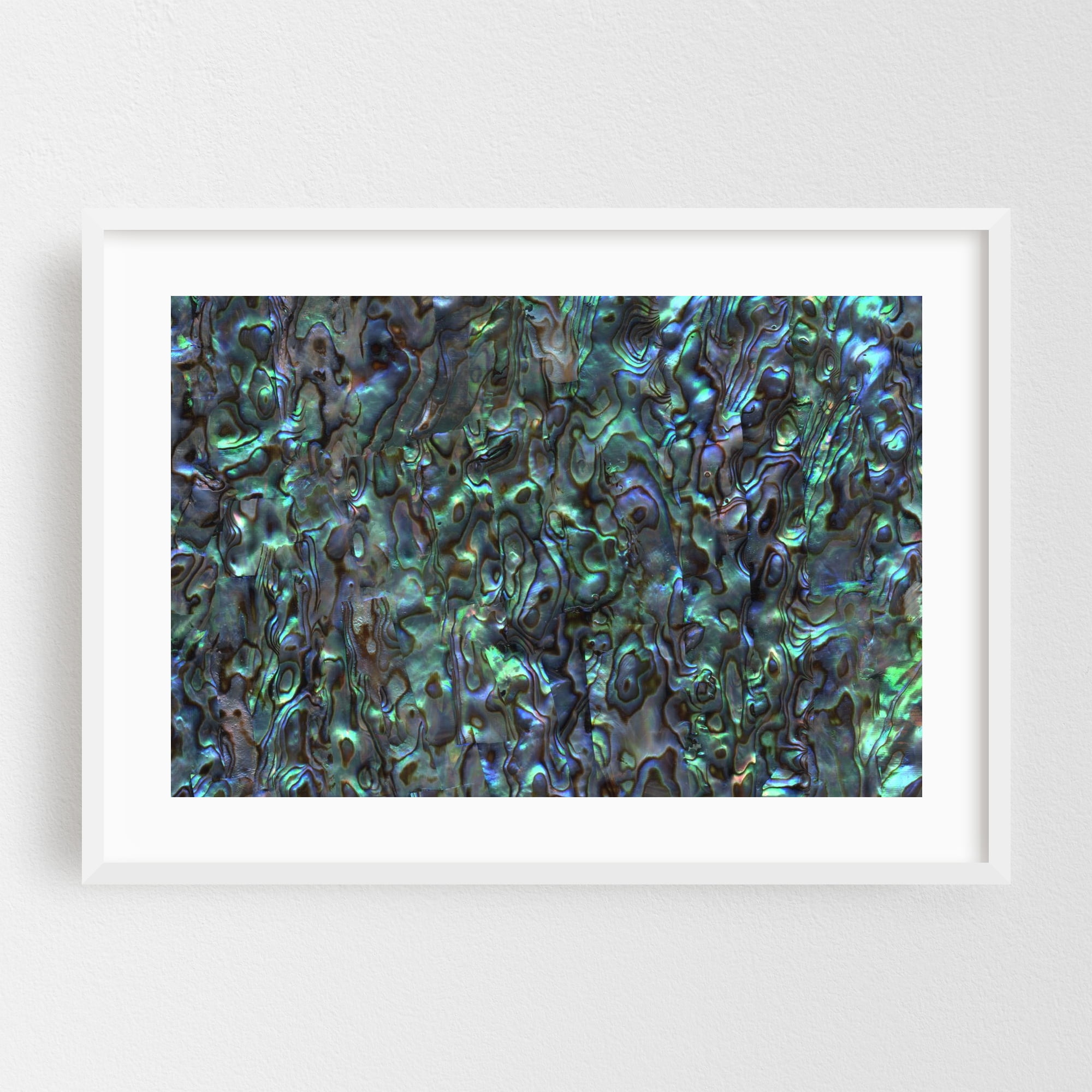 Abalone Shell | Paua Shell | Sea Shells | Patterns in Nature | Natural ...