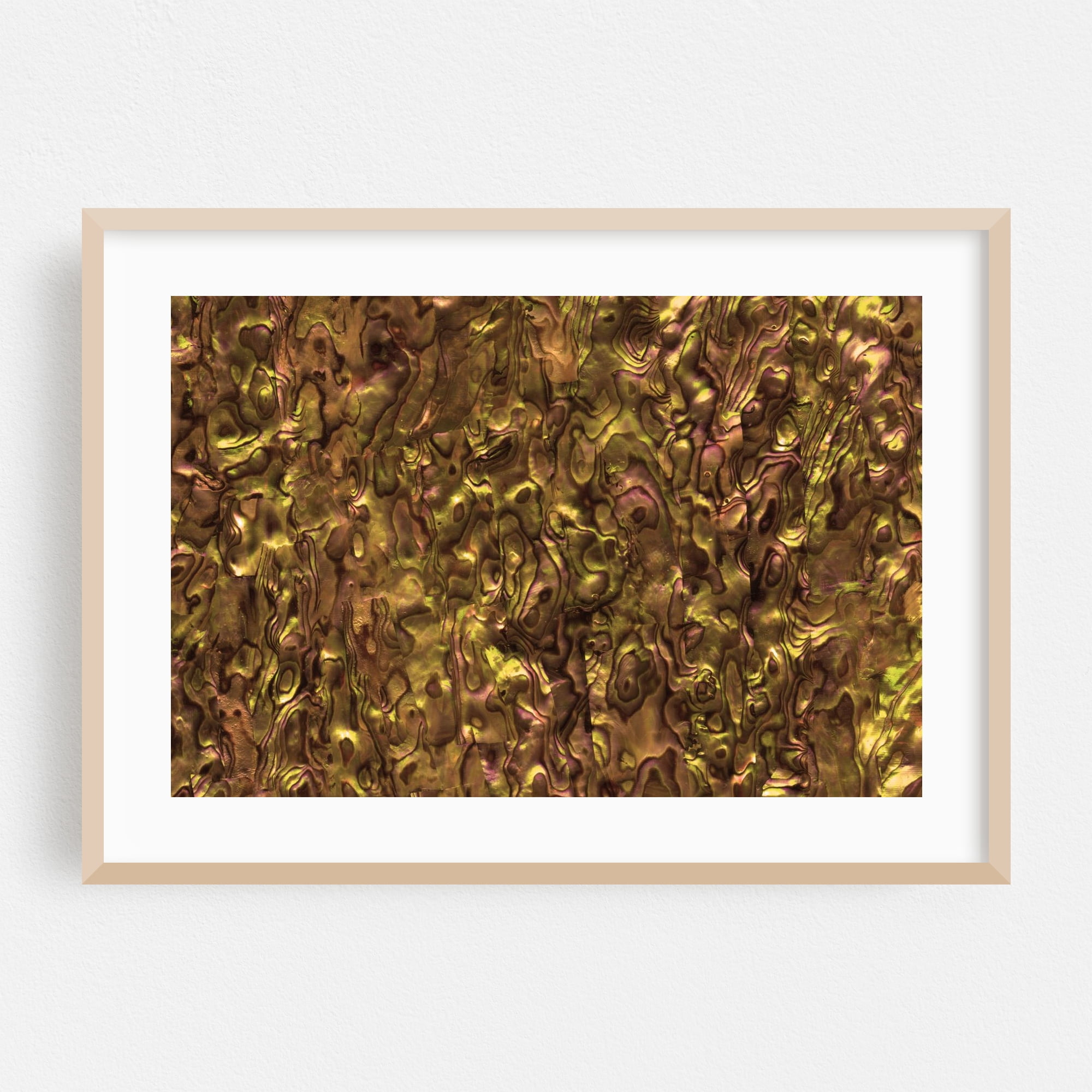 Abalone Shell | Paua Shell | Sea Shells | Patterns in Nature | Orange ...