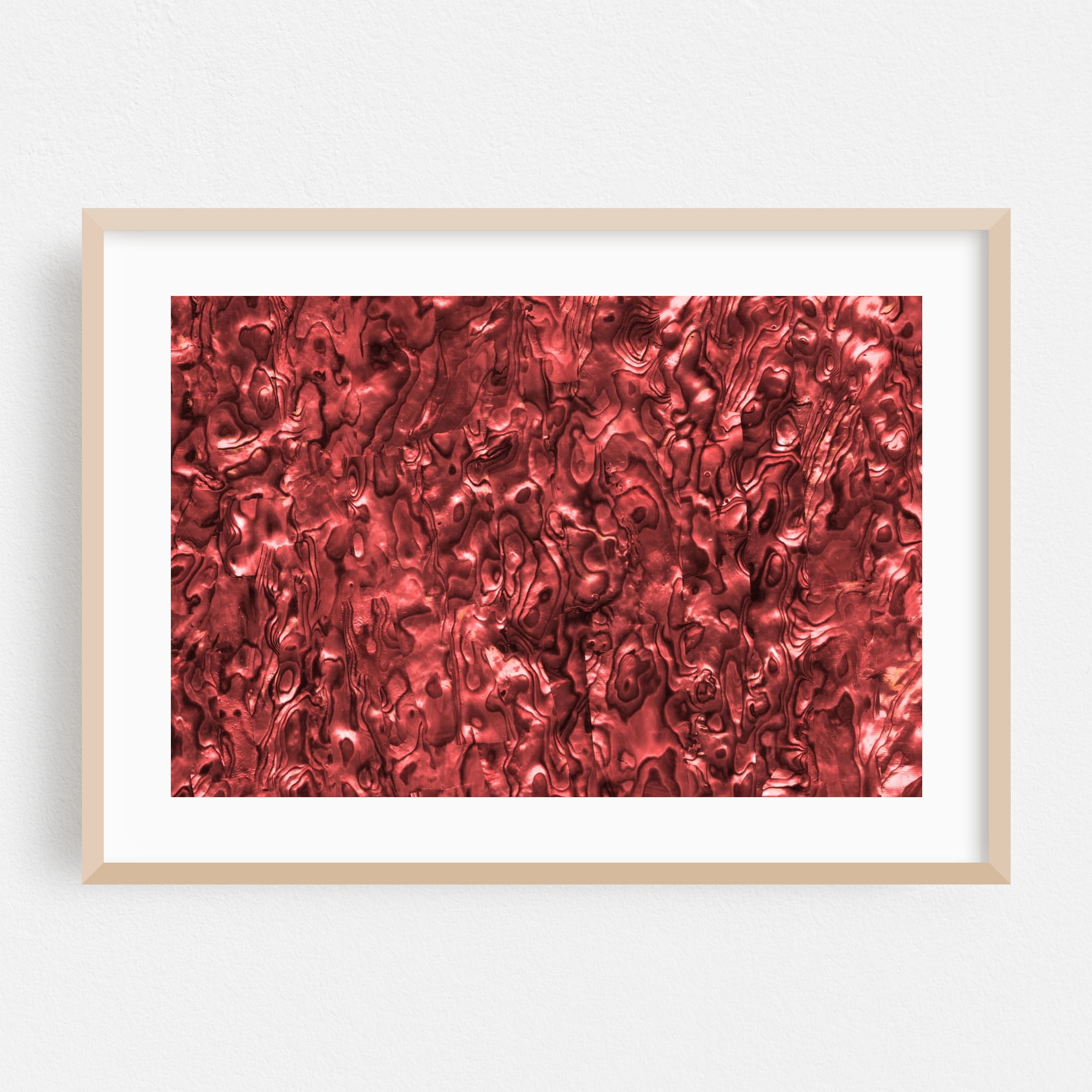Abalone Shell | Paua Shell | Sea Shells | Patterns in Nature | Red Tint ...