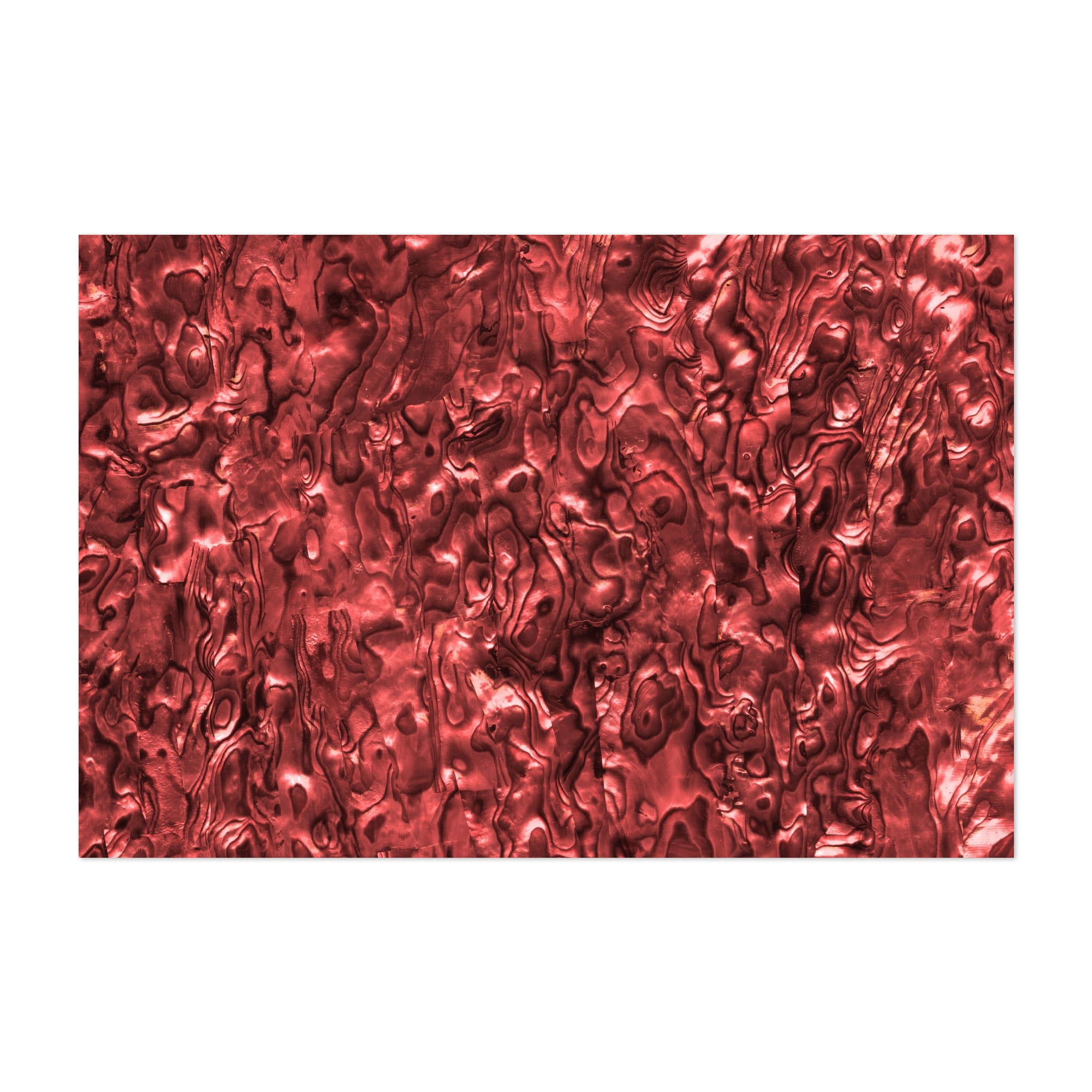 Abalone Shell | Paua Shell | Sea Shells | Patterns in Nature | Red Tint ...