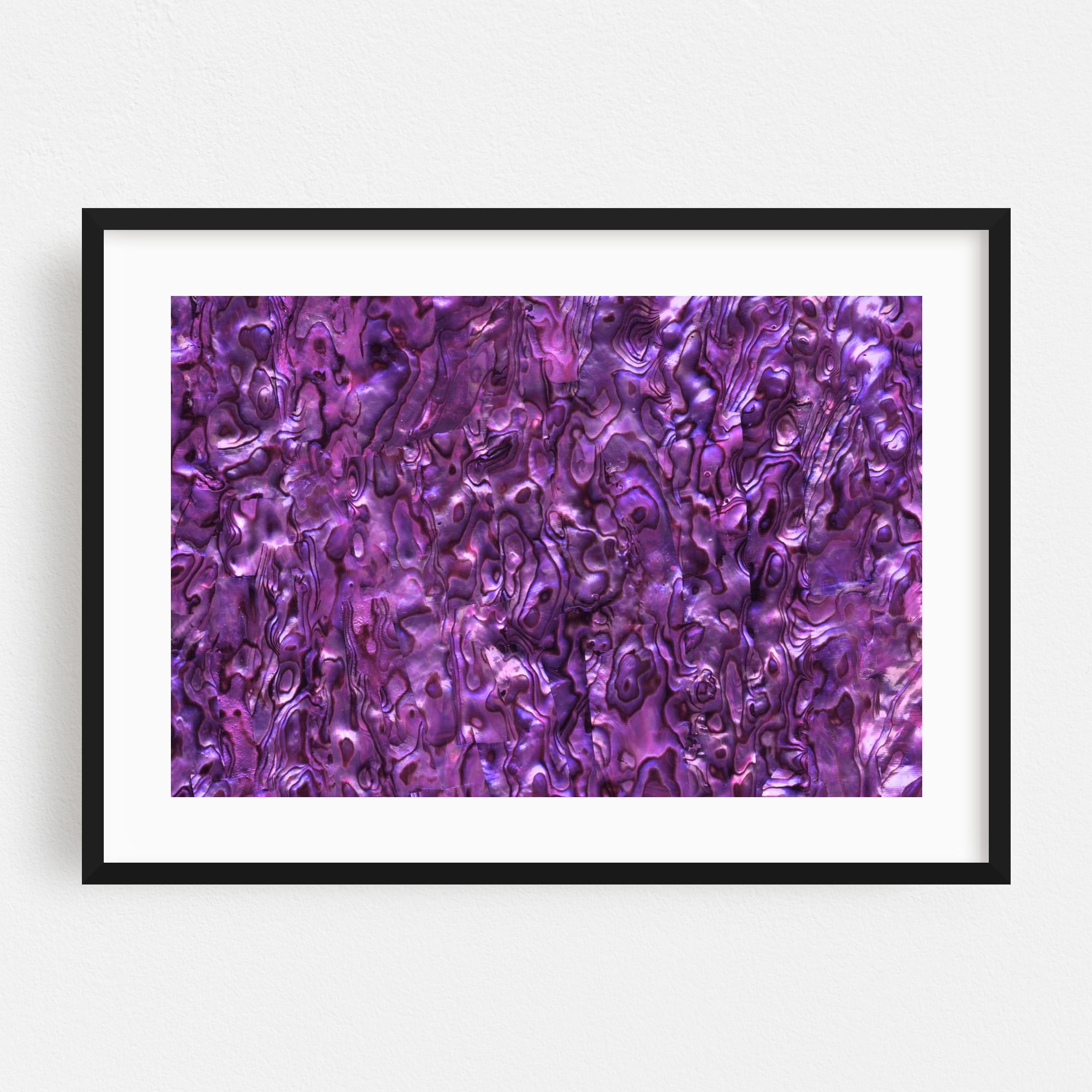 Abalone Shell | Paua Shell | Sea Shells | Patterns in Nature | Violet ...