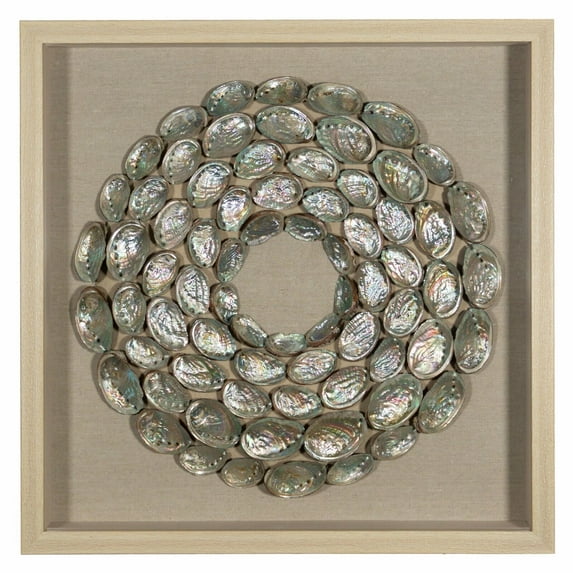 Abalone Shell Rings Shadow Box Wall Décor - Walmart.com