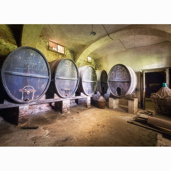 Abandd House Photography Backdrop Ceremony Gothic Room Broken Window ...