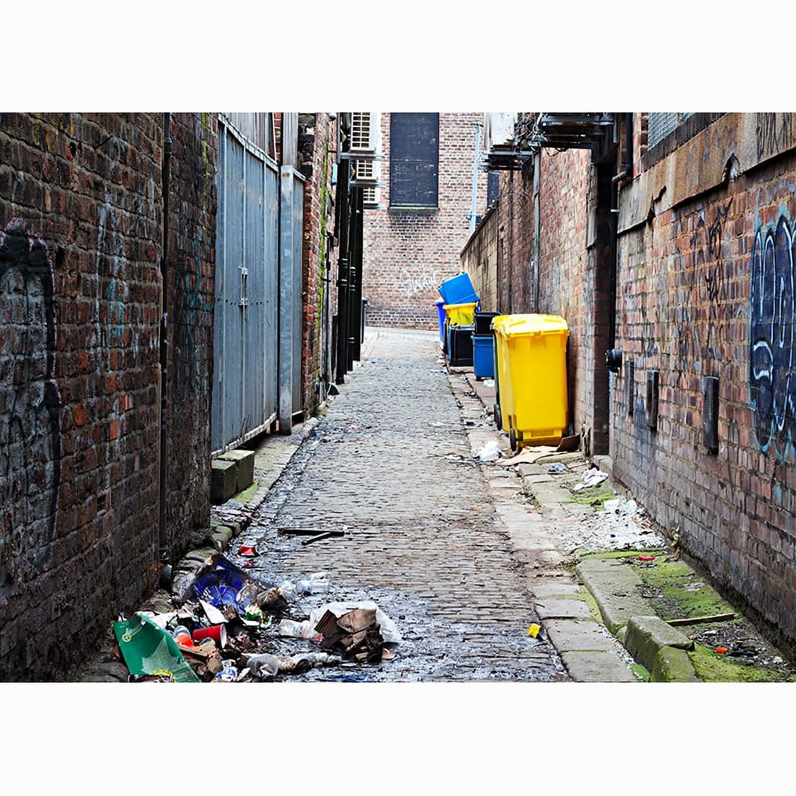 Abandd House Photography Backdrop Ceremony Gothic Room Broken Window Curtain Rustic Photo Studio ...