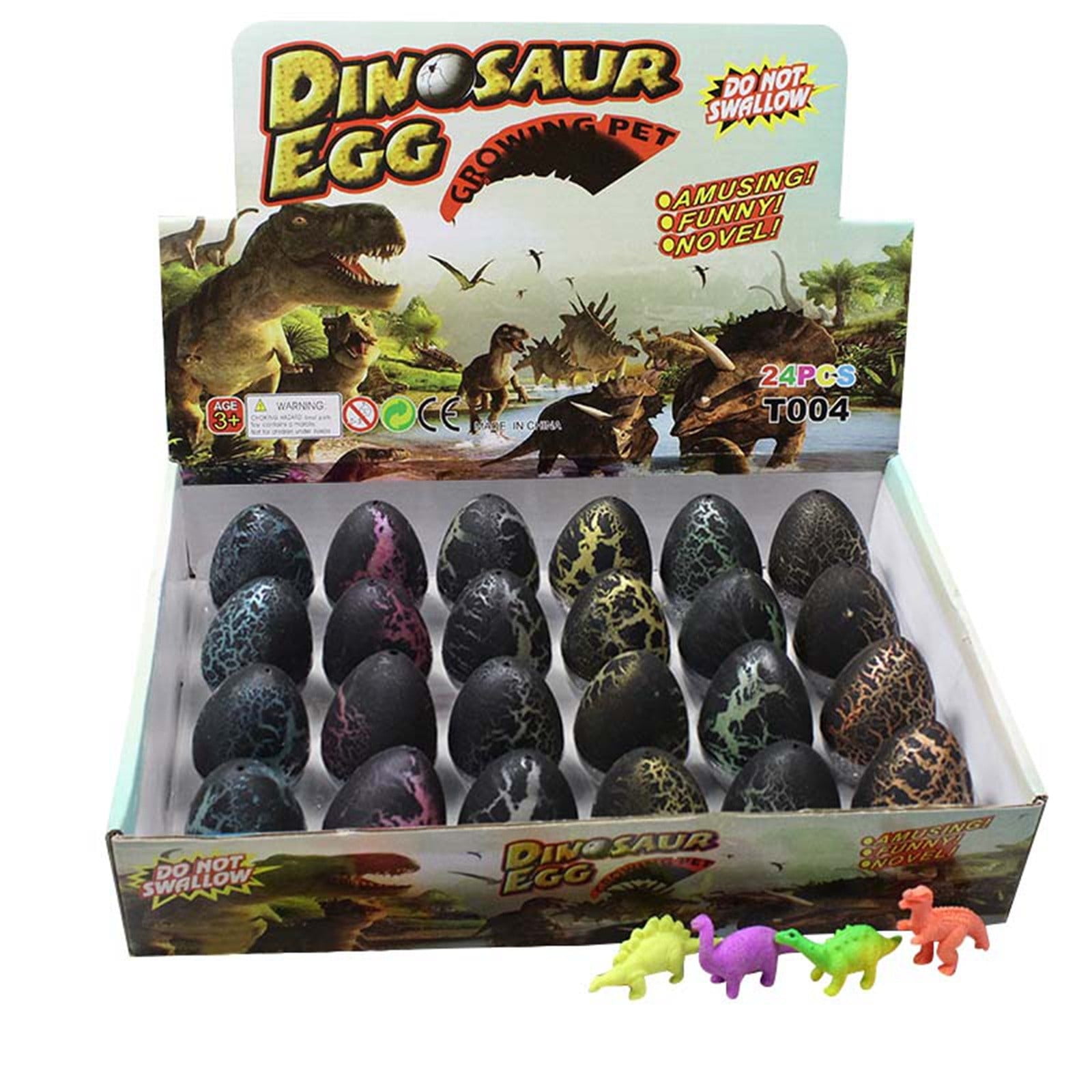 Abastado 24 Easter Dinosaur Eggs Were Soaked In Water and Hatched. Dinosaurs Grew Bigger When To ...